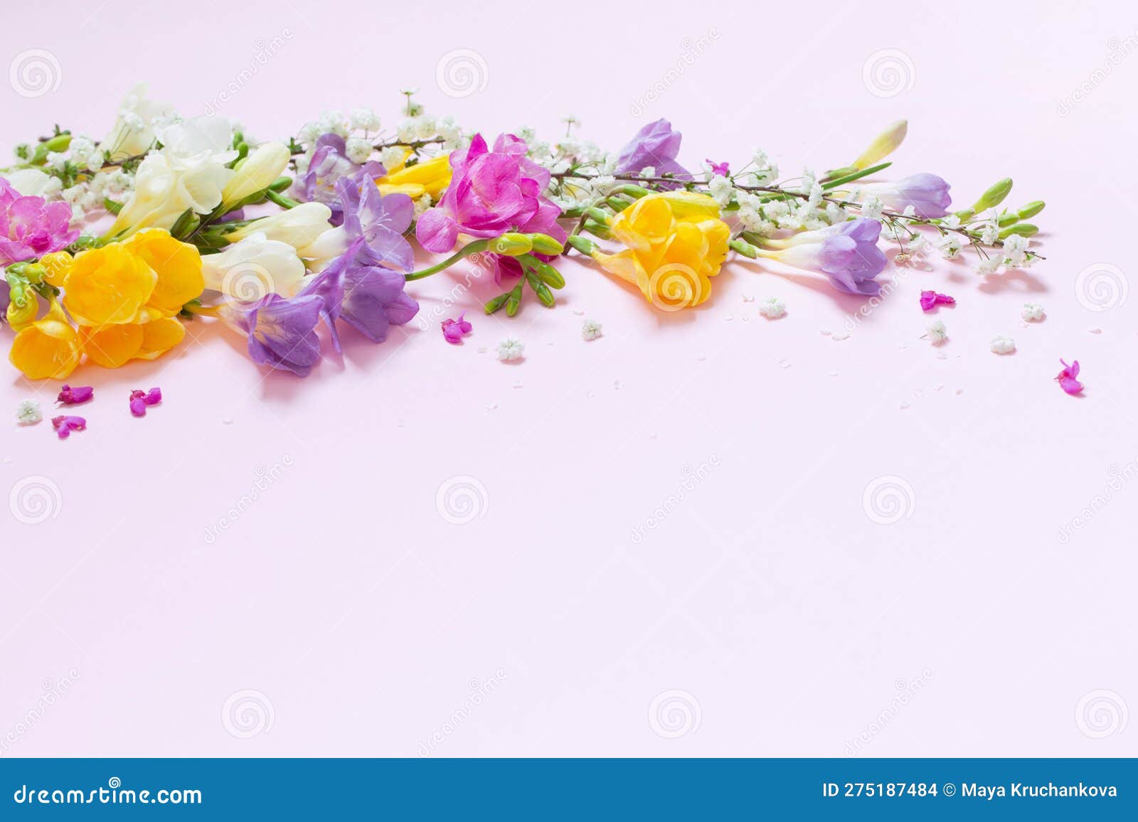 Spring Flowers on Pastel Pink Background Stock Photo - Image of pastel ...