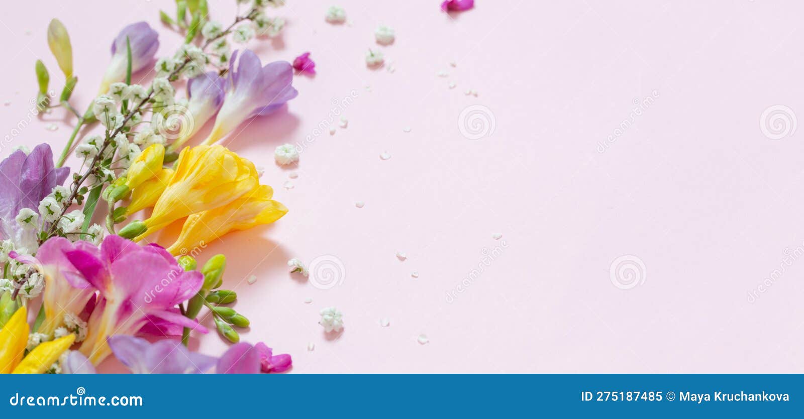 Spring Flowers on Pastel Pink Background Stock Image - Image of flower ...