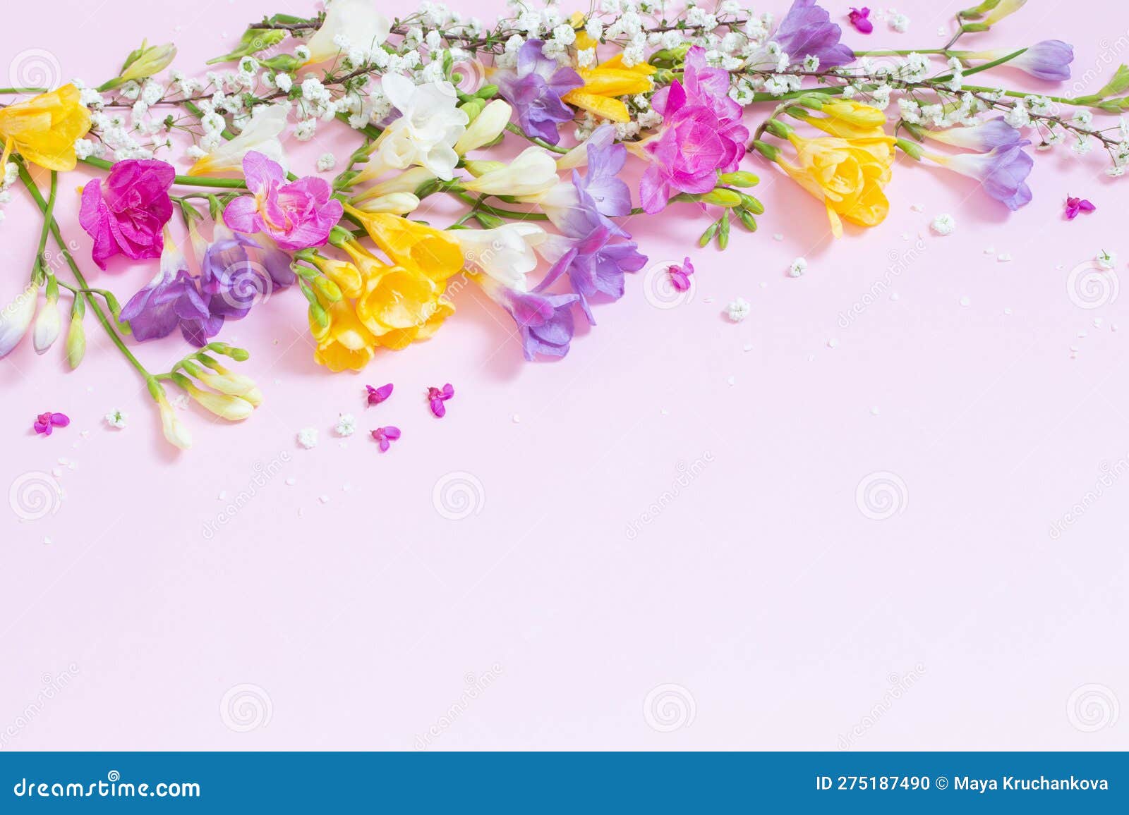Spring Flowers on Pastel Pink Background Stock Photo - Image of blossom ...