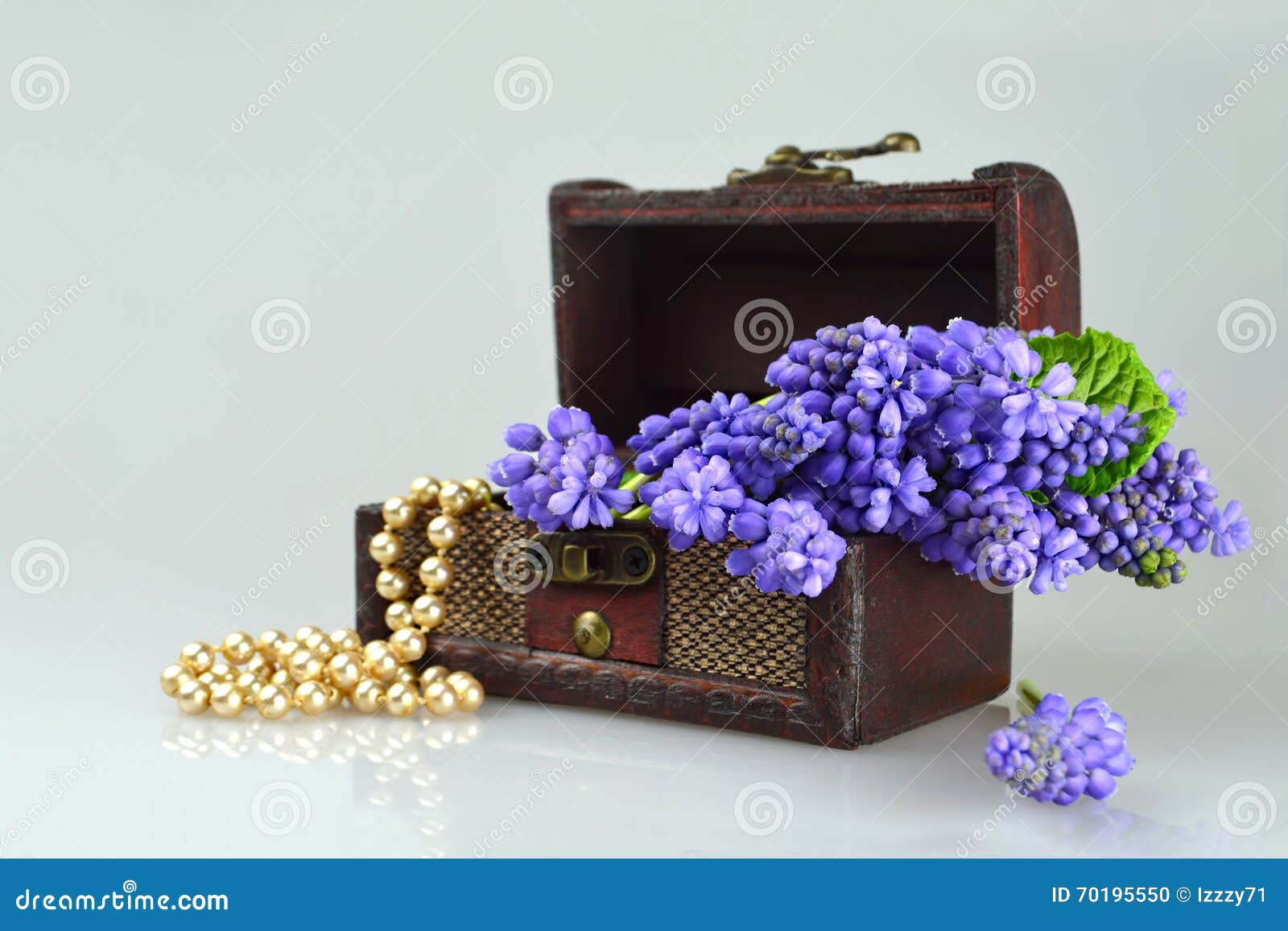 Spring Flowers and Pearls in Treasure Chest Stock Photo - Image of ...