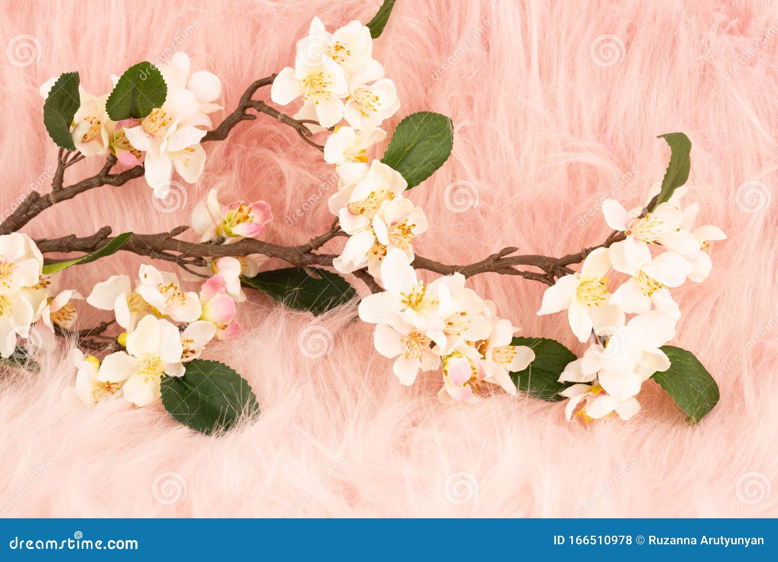 Spring flowers stock photo. Image of pink, furry, brown - 166510978