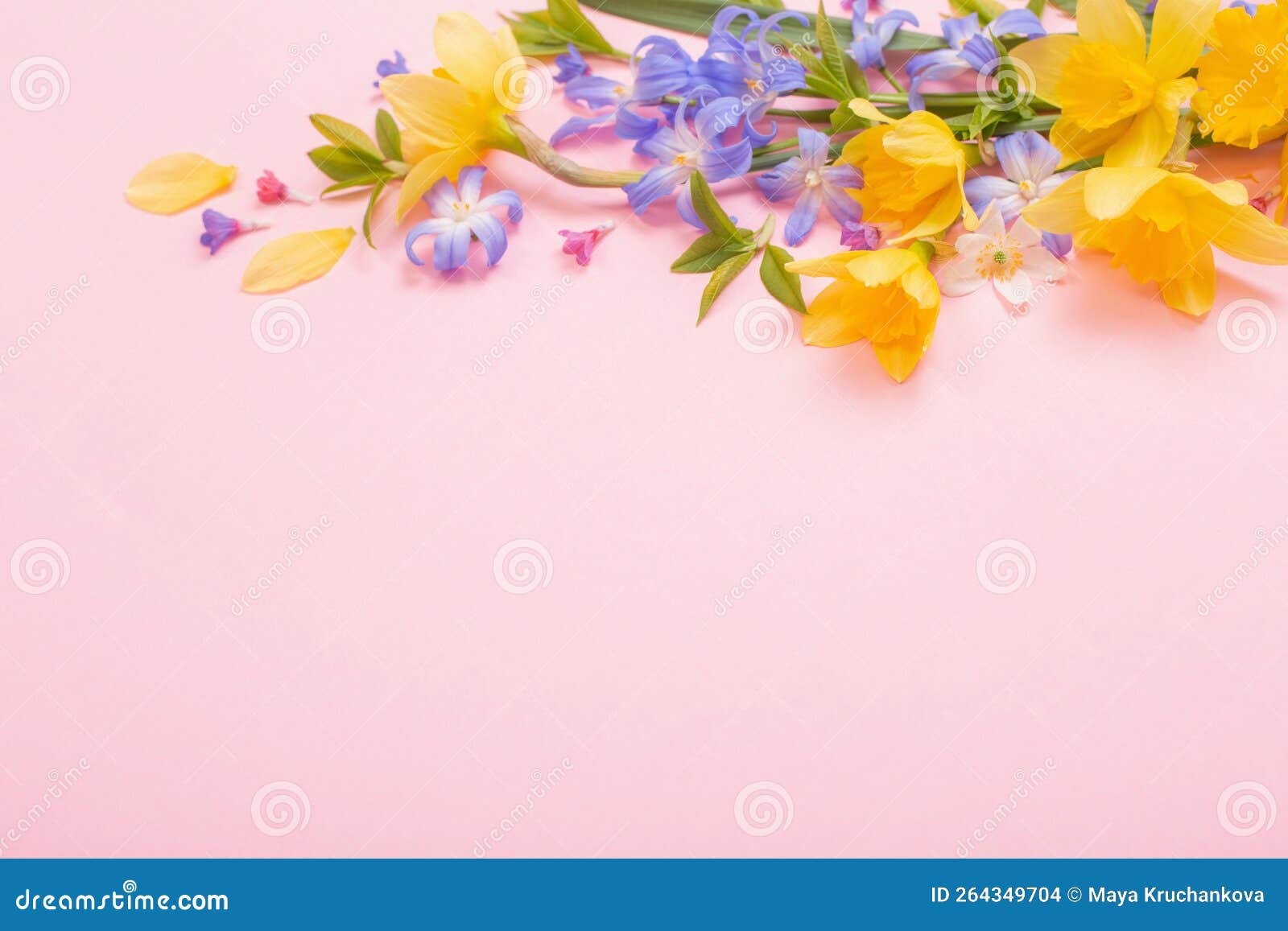 Flowers on Pink Papper Background Stock Photo - Image of daffodils ...