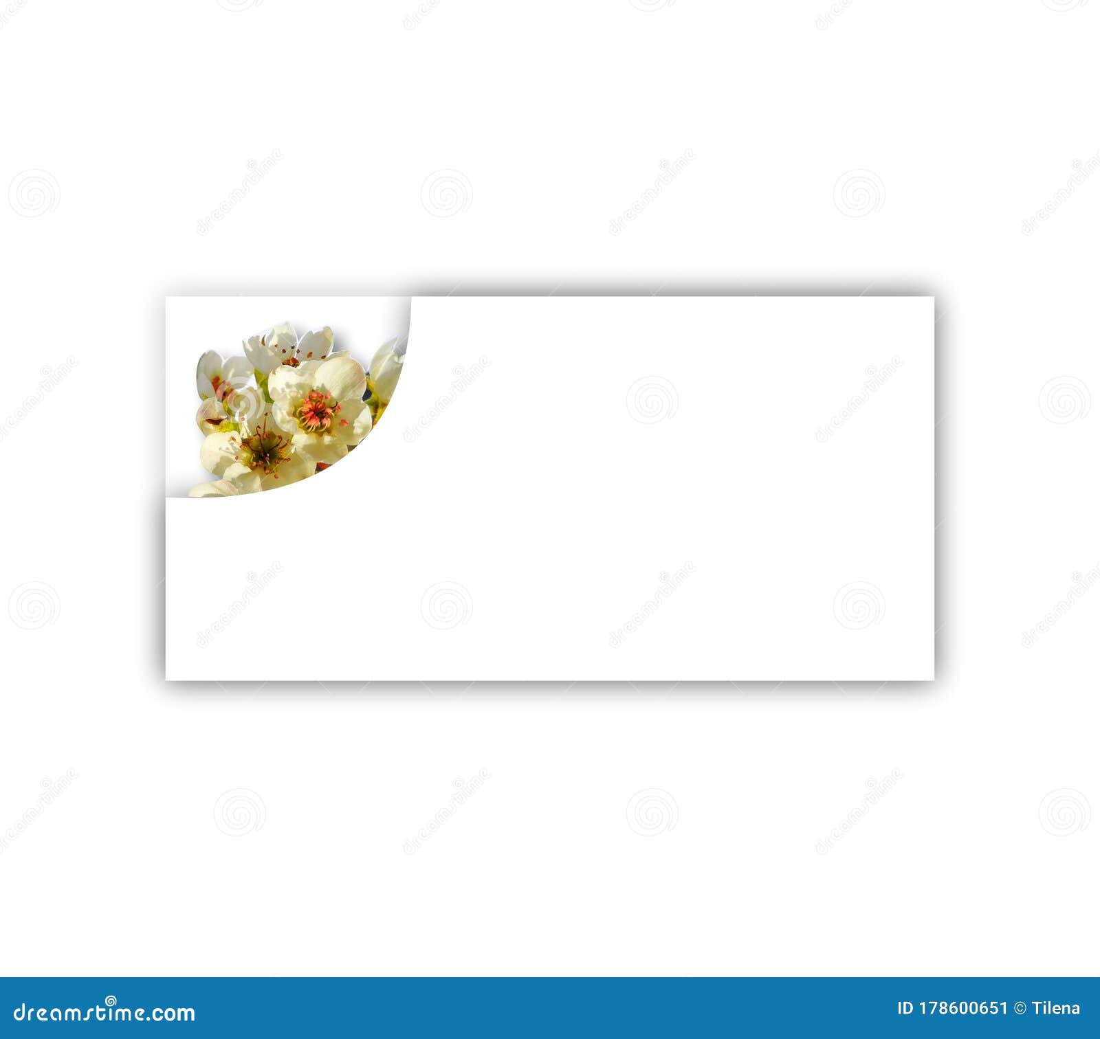 Spring Flowers Placed at the Corner of a Rectangular Shape Stock Image ...