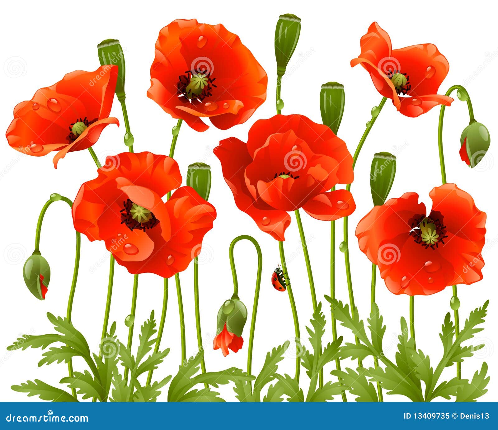 Poppys Cartoons, Illustrations & Vector Stock Images - 72 Pictures to ...