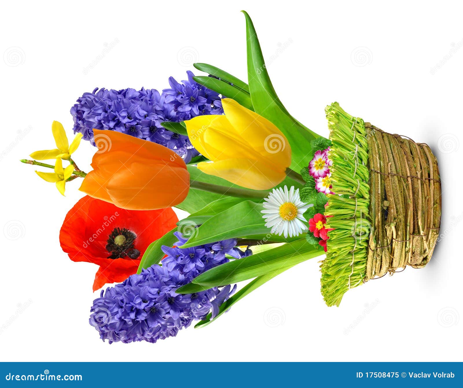 Spring flowers in a pot stock image. Image of garden - 17508475