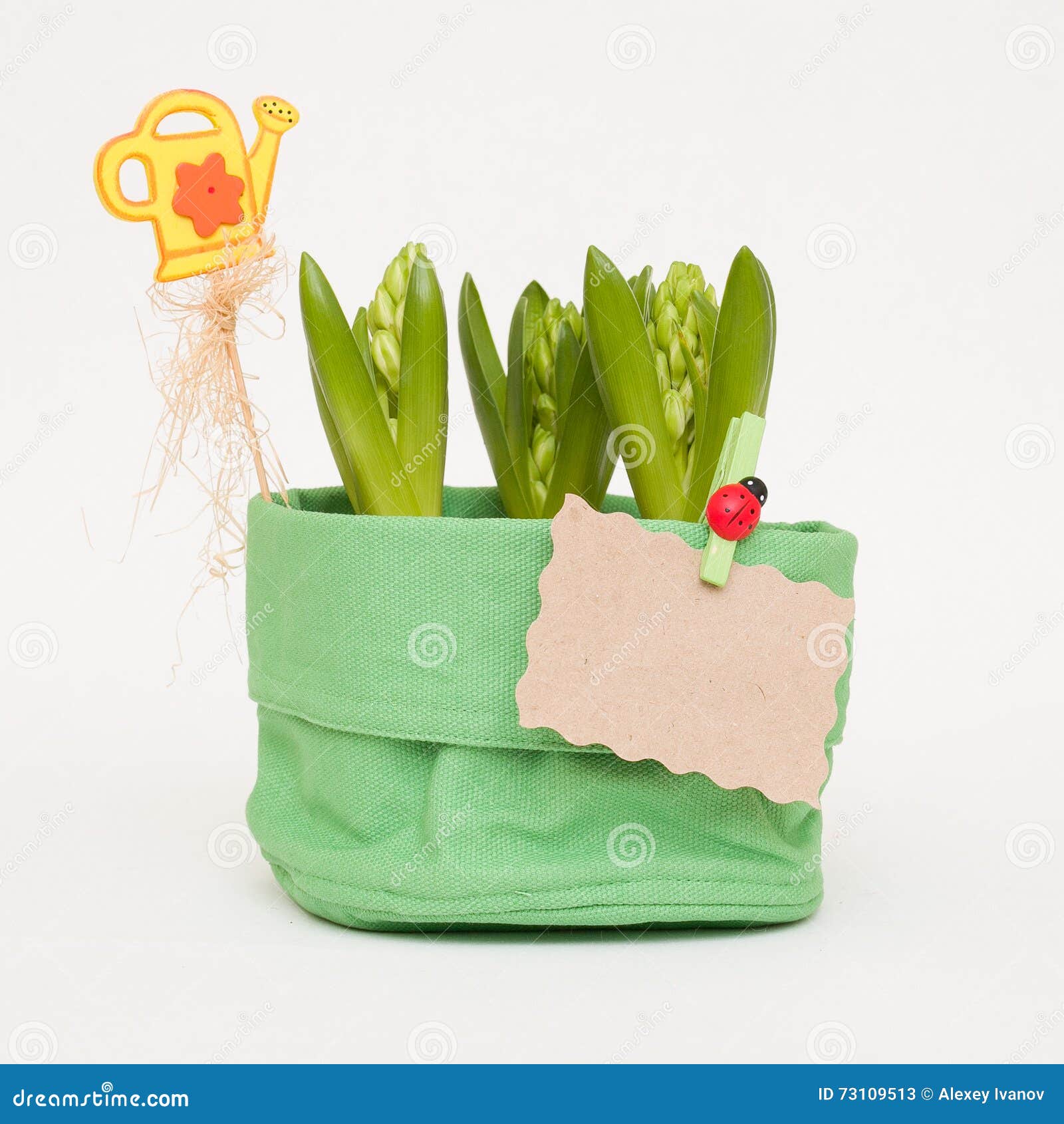 Spring Flowers in a Pot with a Nice Decoration Stock Image - Image of ...
