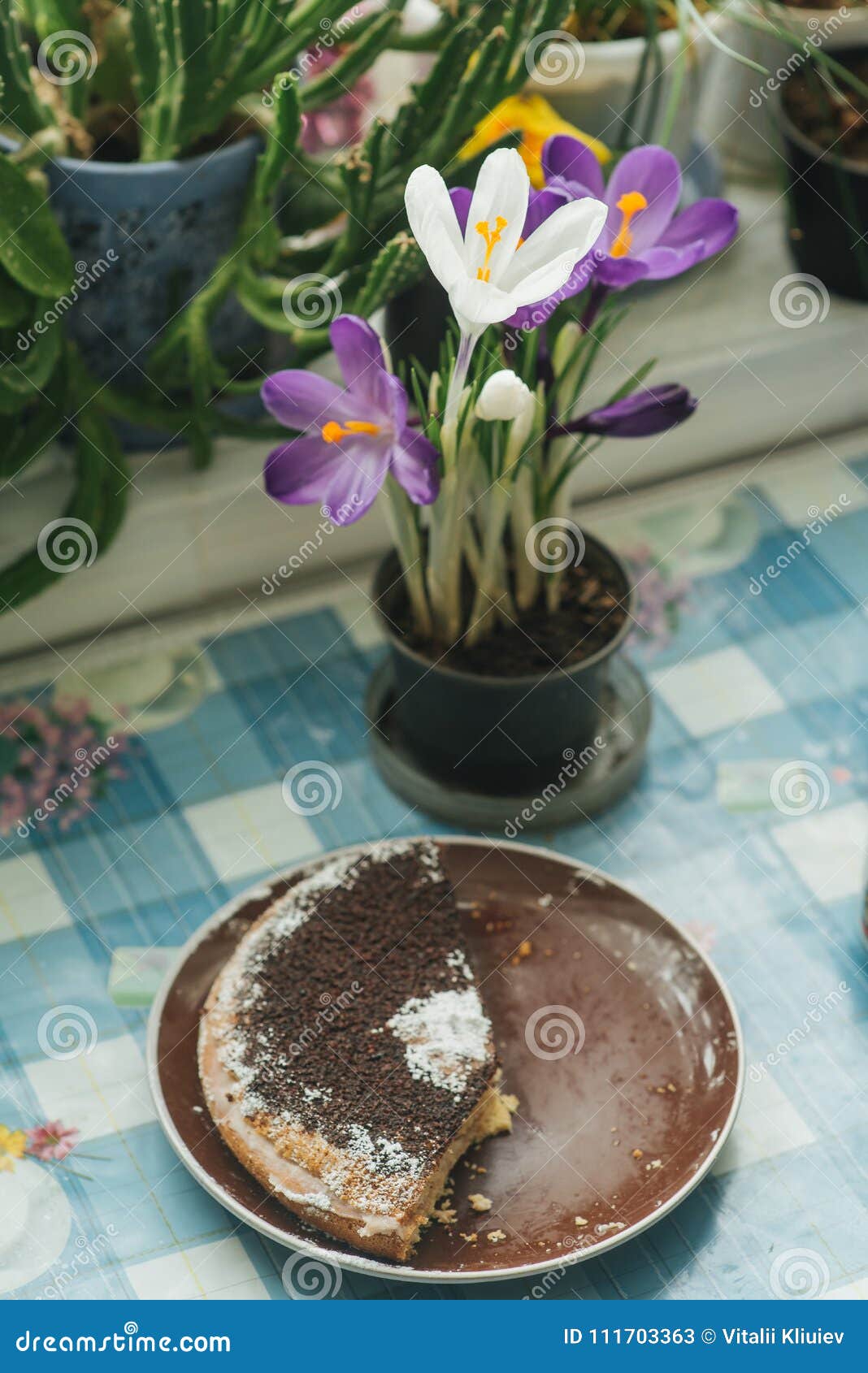 Spring Flowers Purple Crocuses and Cake on a Table by the Window Stock ...