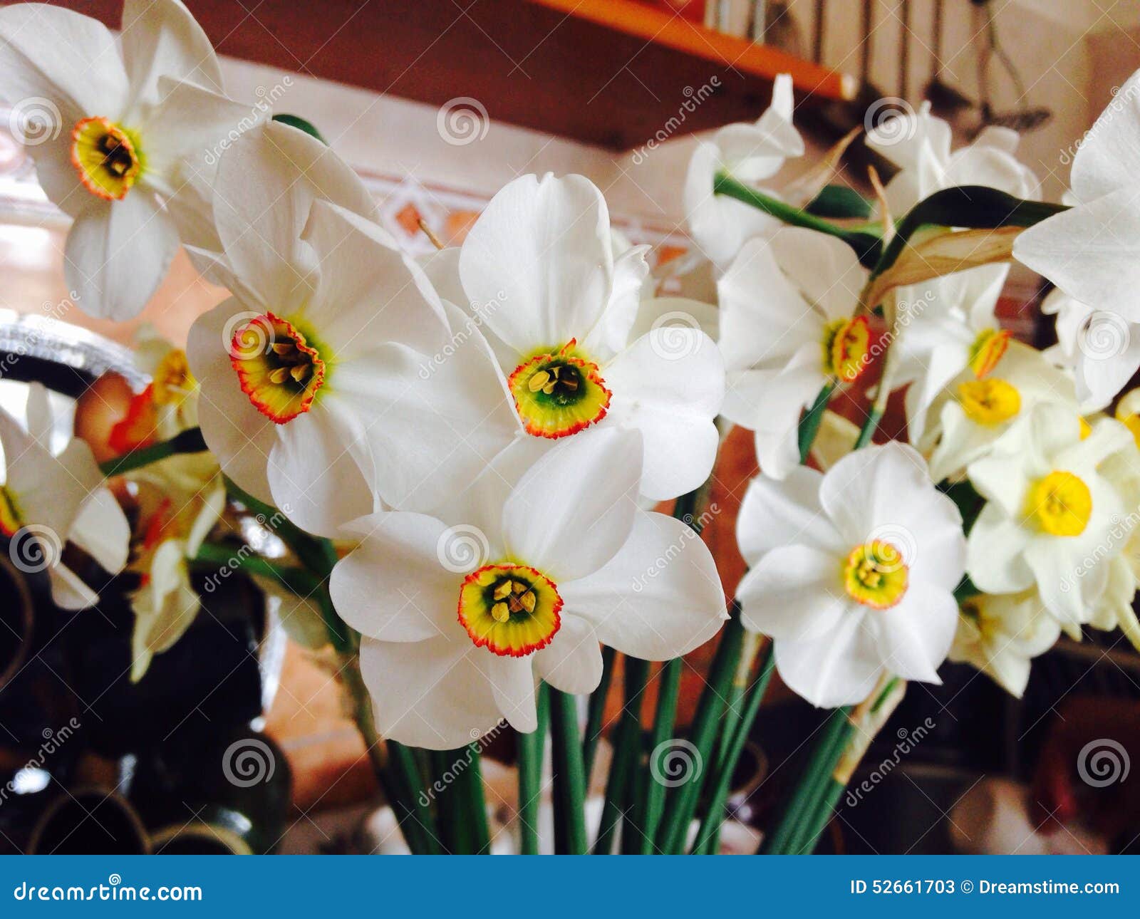 Spring Flowers from Romania Stock Image - Image of white, pure: 52661703