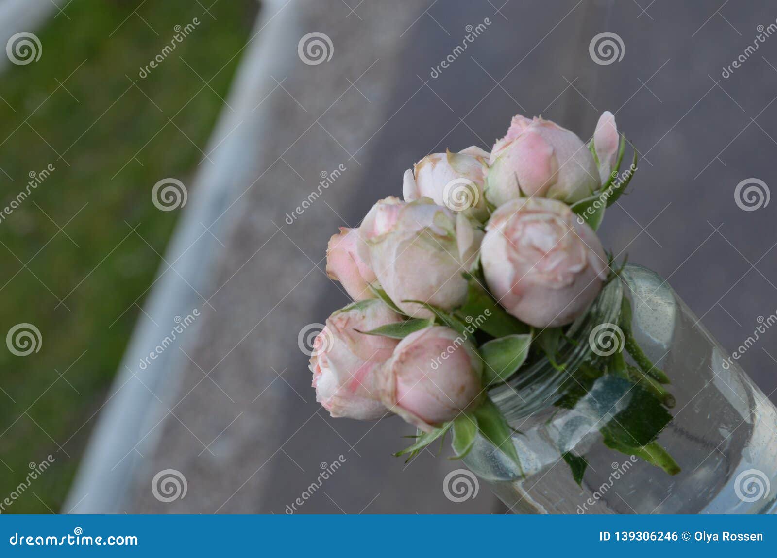 Spring flowers roses stock photo. Image of bryask, spring - 139306246