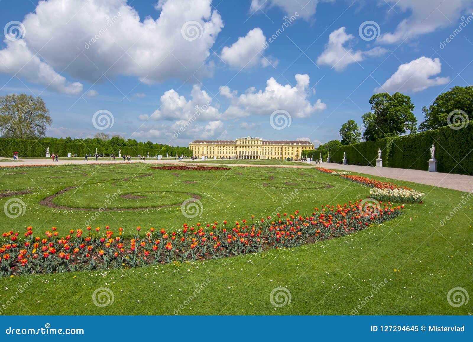 Spring Flowers in Schonbrunn Gardens, Vienna, Austria Editorial Image ...