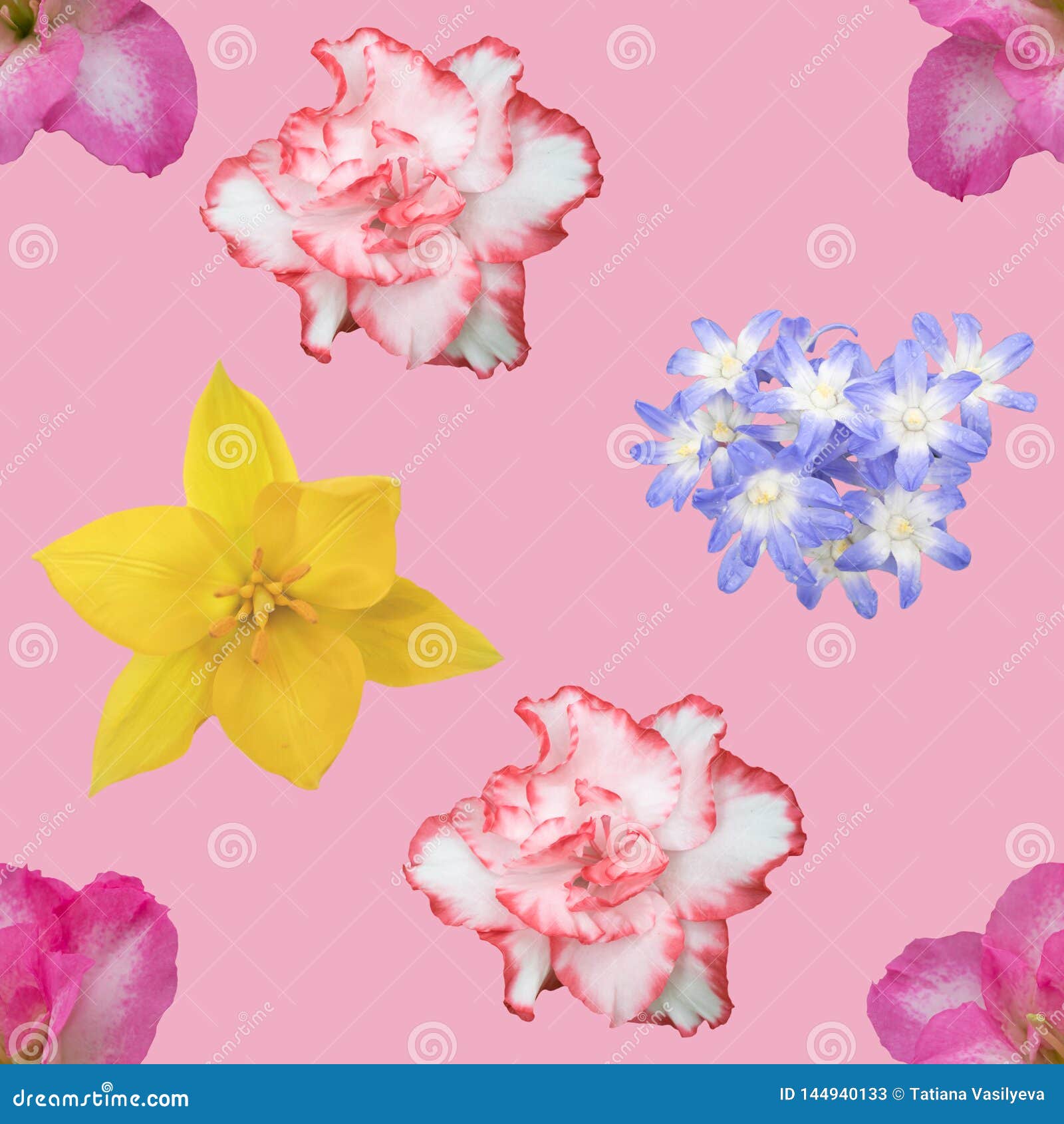 Spring Flowers Seamless Background Pattern Stock Image - Image of ...