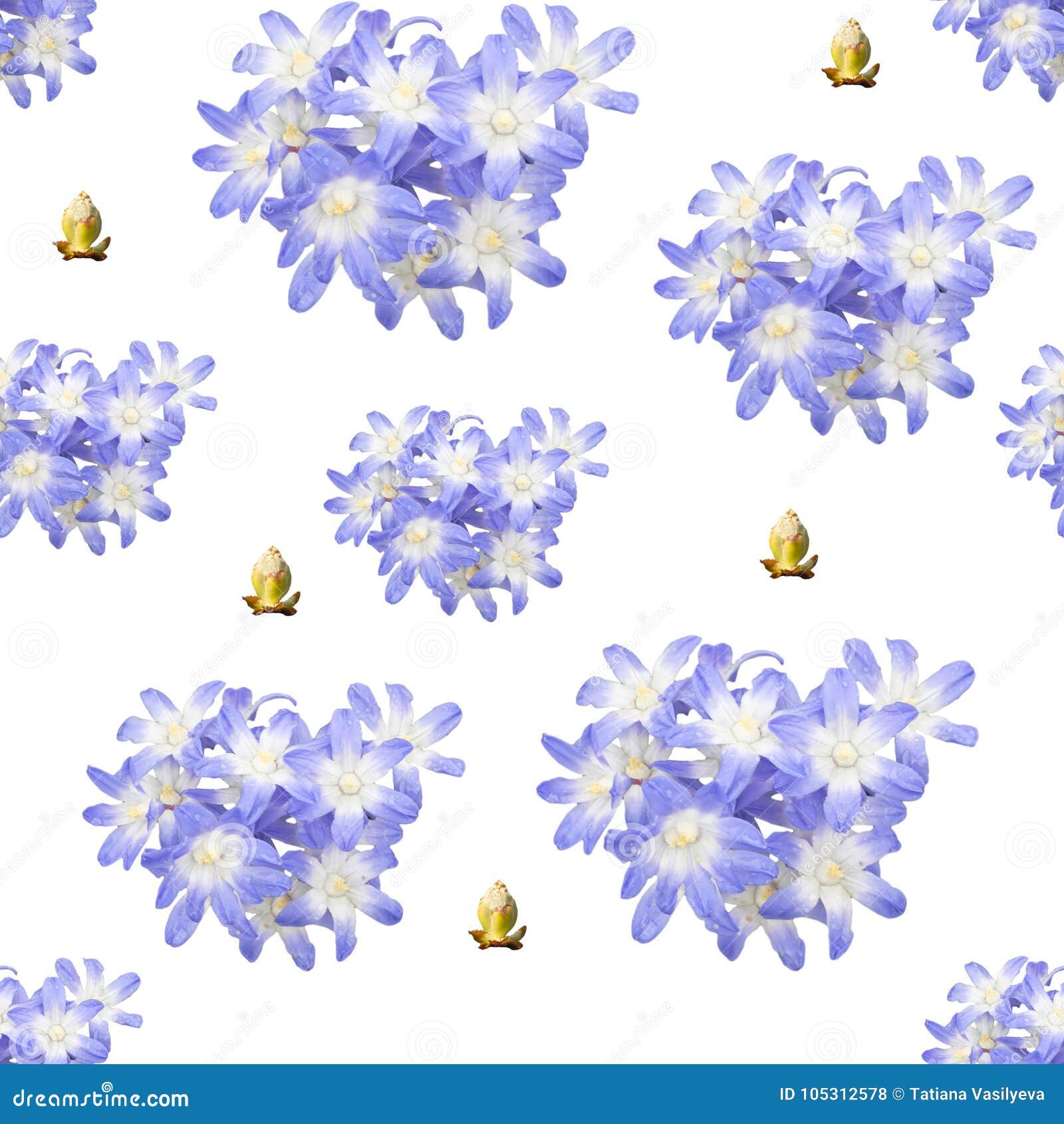 Spring Flowers Seamless Background Pattern Stock Photo - Image of ...