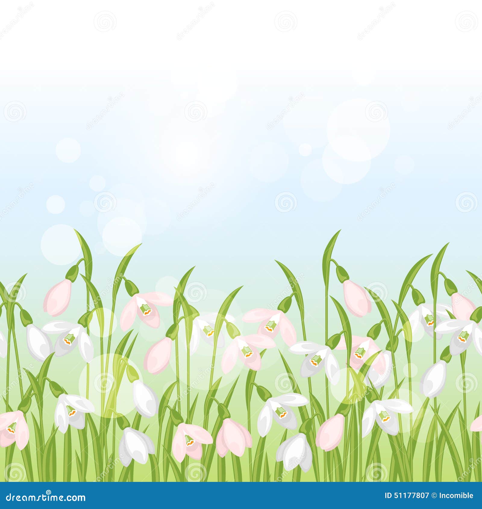 Spring Flowers Snowdrops Seamless Pattern Stock Vector - Illustration ...