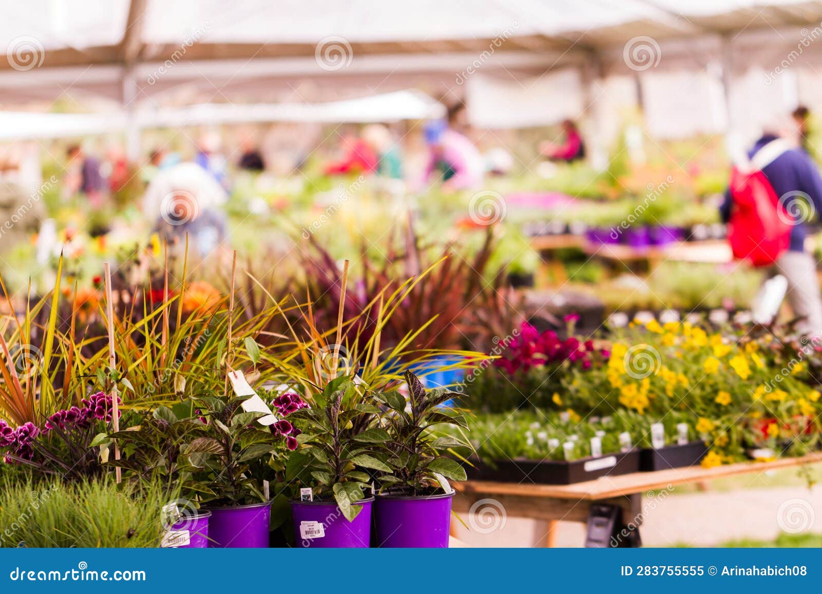 Spring flowers editorial image. Image of selling, green - 283755555