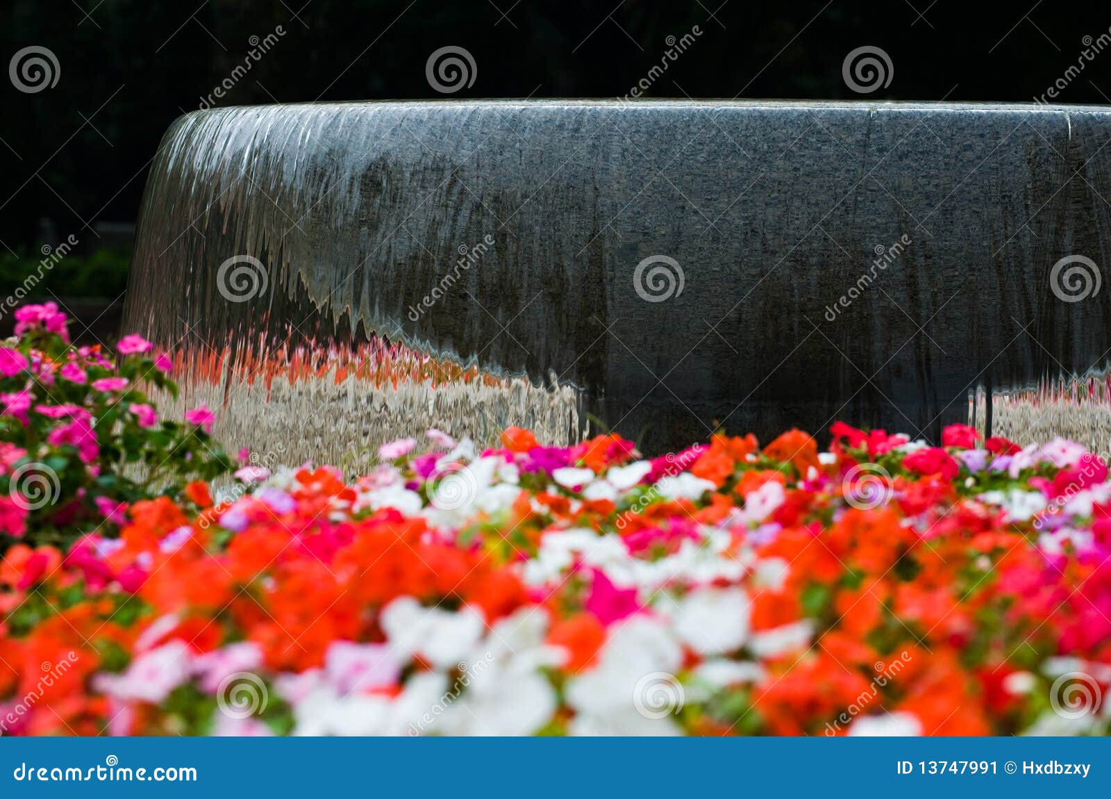 Spring flowers and stream stock image. Image of bloom - 13747991