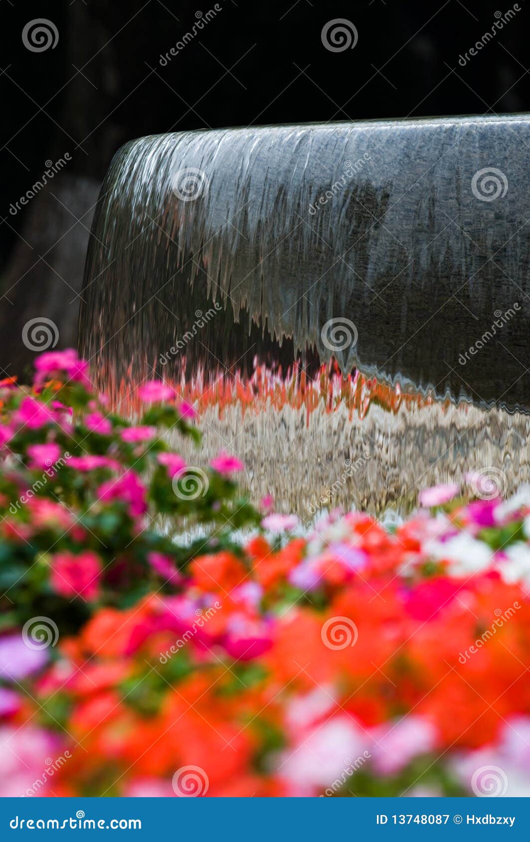 Spring flowers and stream stock image. Image of natural - 13748087
