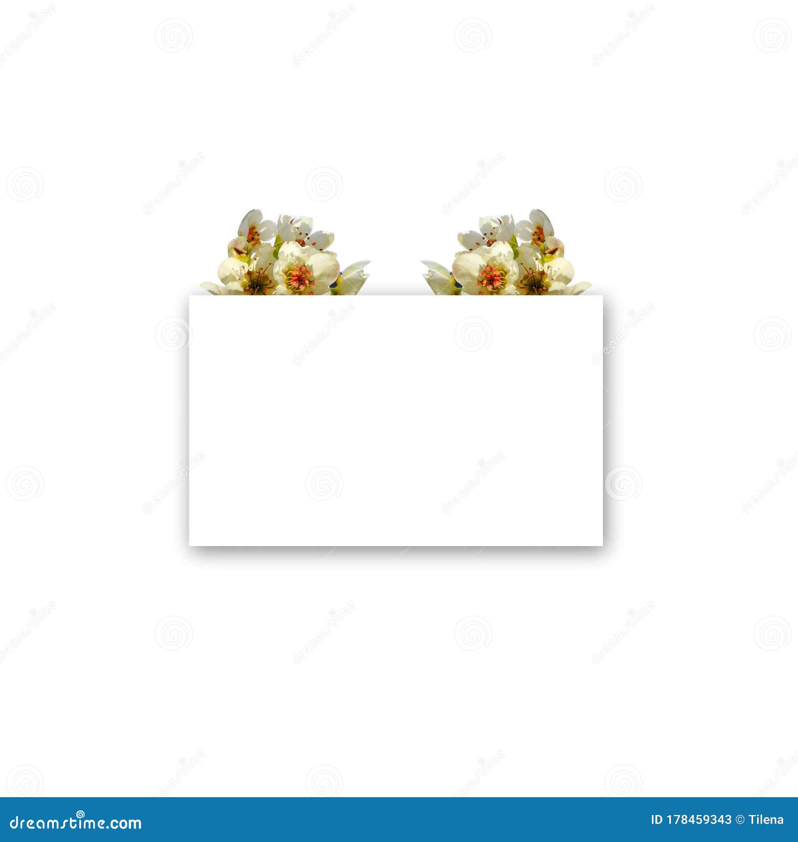 Spring Flowers on Top of a Rectangular Shape Stock Image - Image of ...