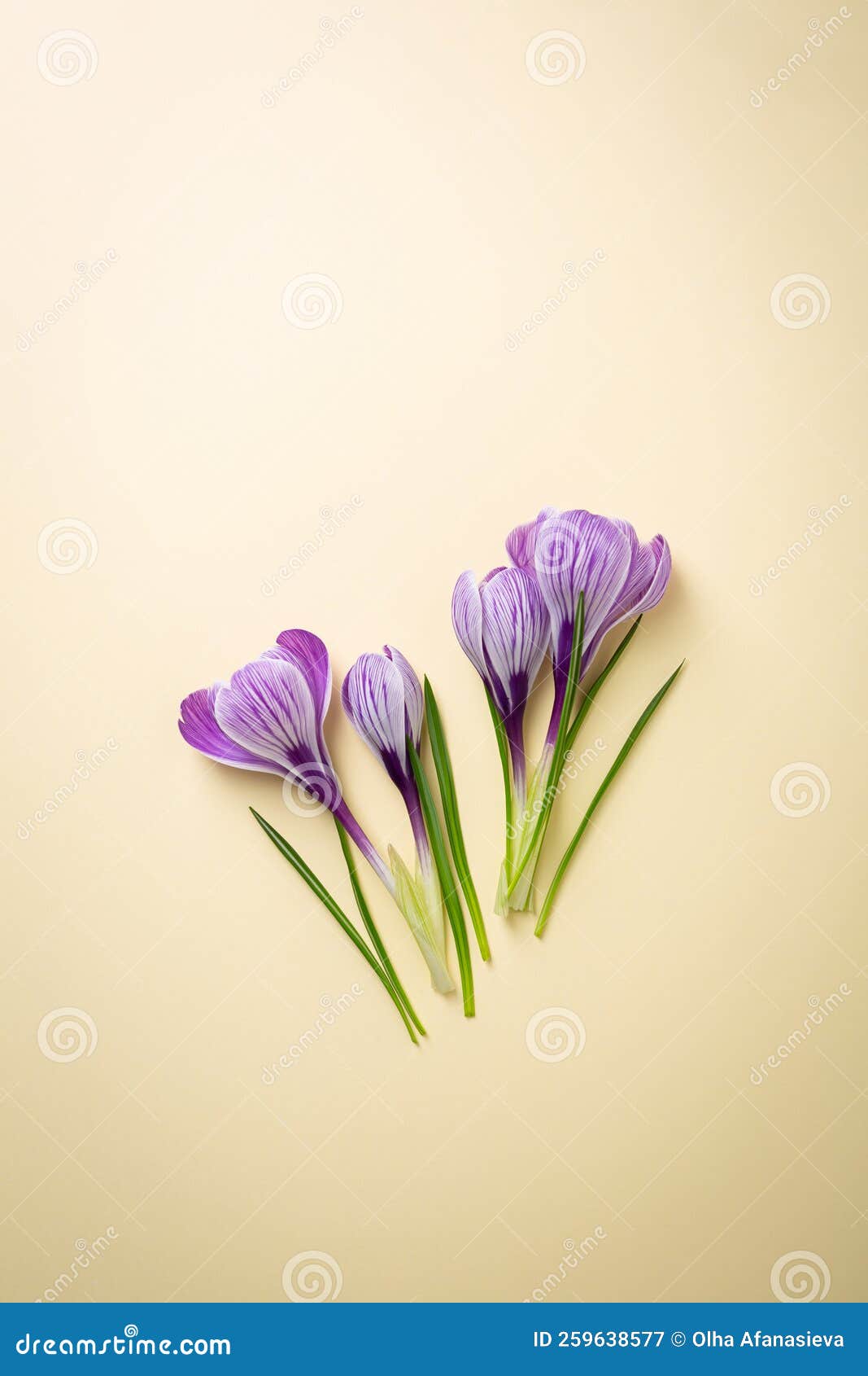 Spring Flowers Top View on Golden Surface Crocuses Stock Image - Image ...