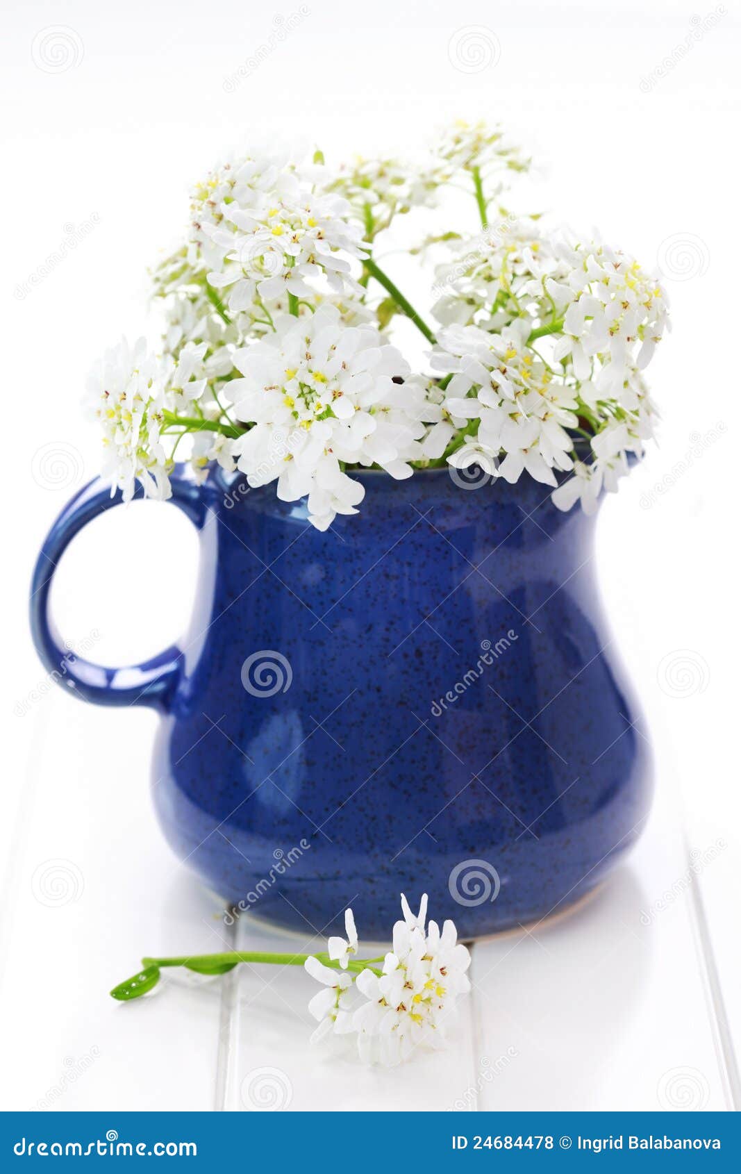 Spring flowers in vase stock photo. Image of nature, decoration - 24684478