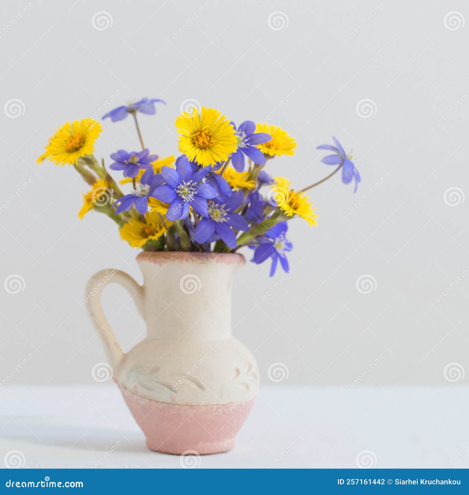 Spring Flowers in Vase on White Background Stock Photo - Image of ...
