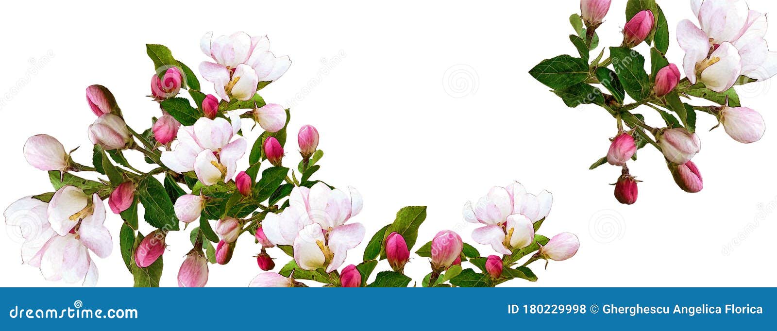 Spring Flowers on Watercolor Background - Facebook Cover Stock ...