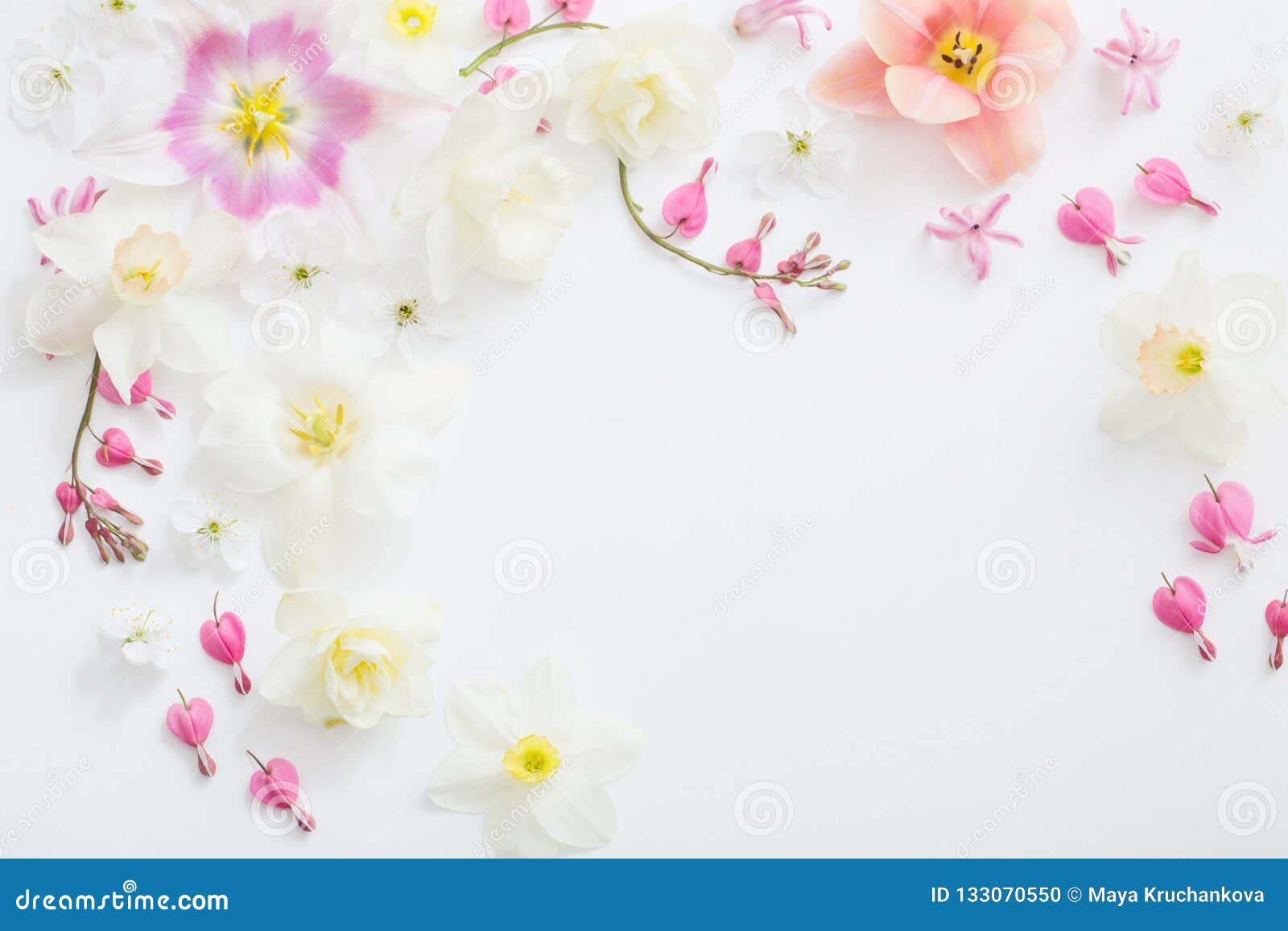 Spring Flowers on White Background Stock Photo - Image of flora ...