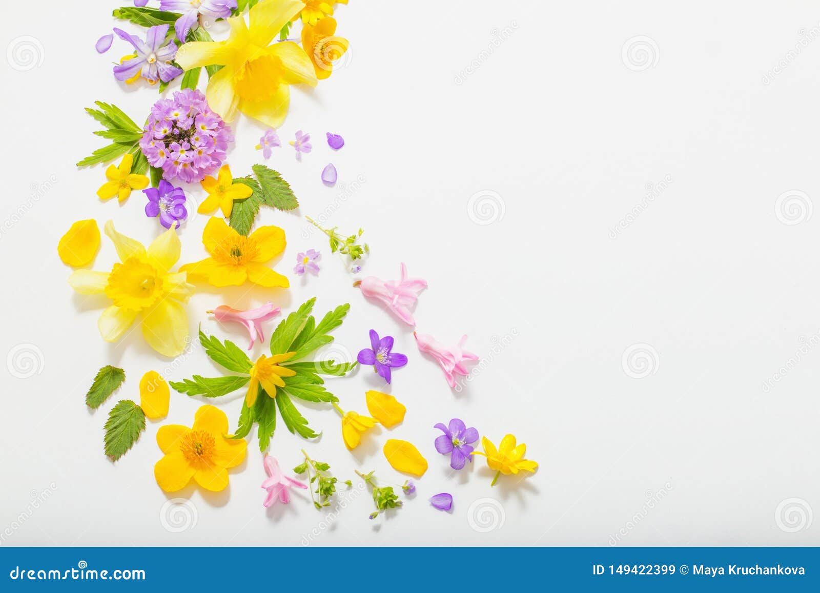 Spring Flowers on White Background Stock Image - Image of mockup ...