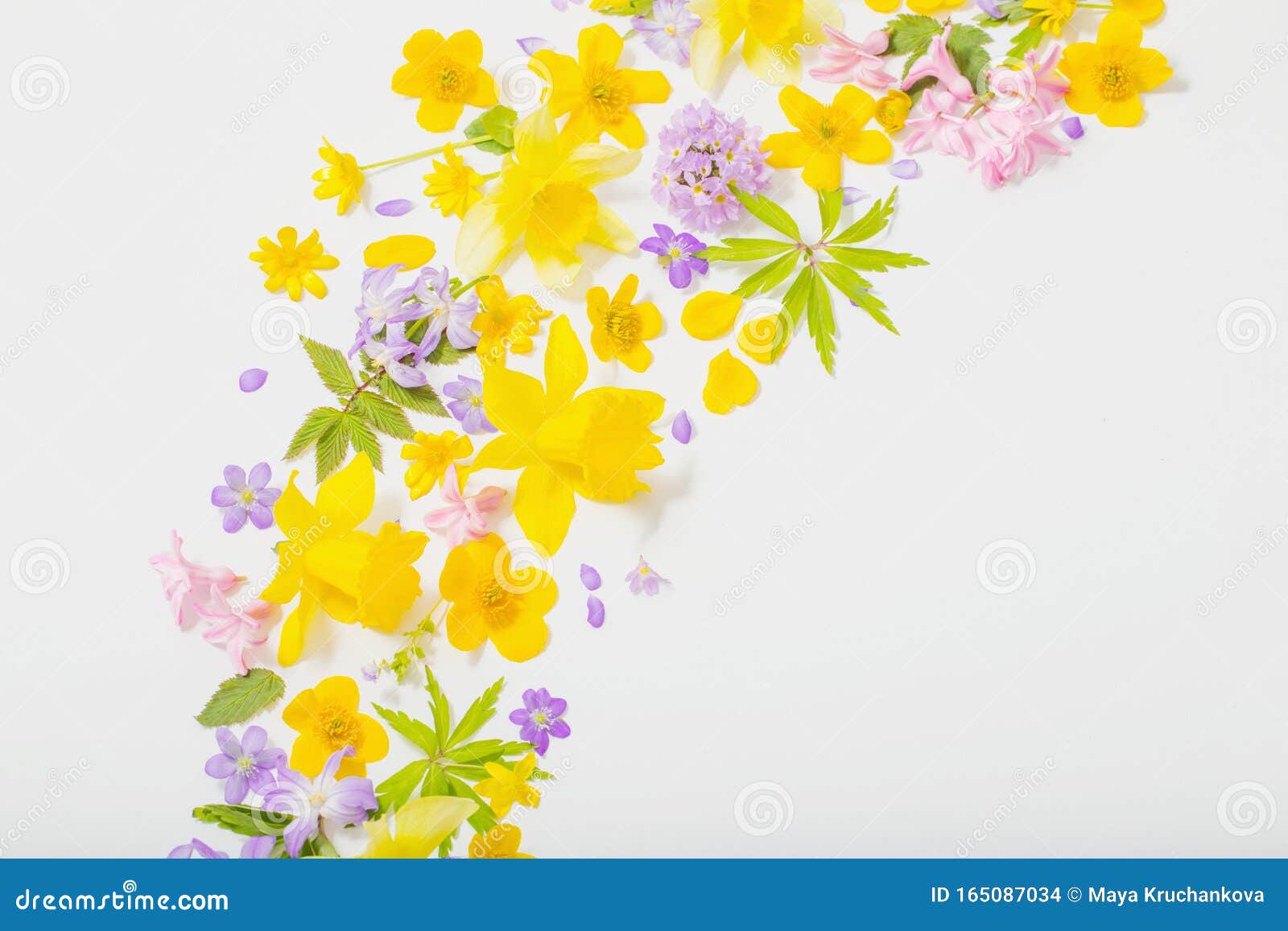 Spring Flowers on White Background Stock Photo - Image of arrangement ...
