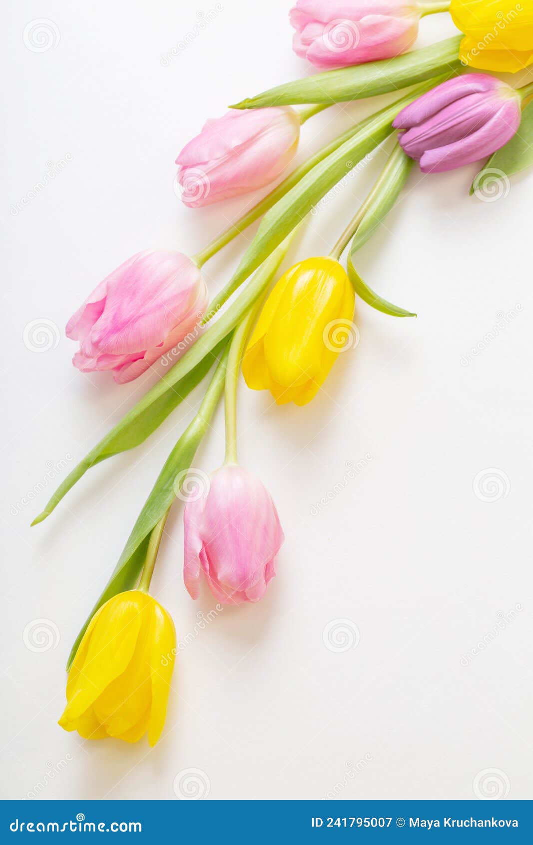 Spring Flowers on White Background Stock Image - Image of closeup ...