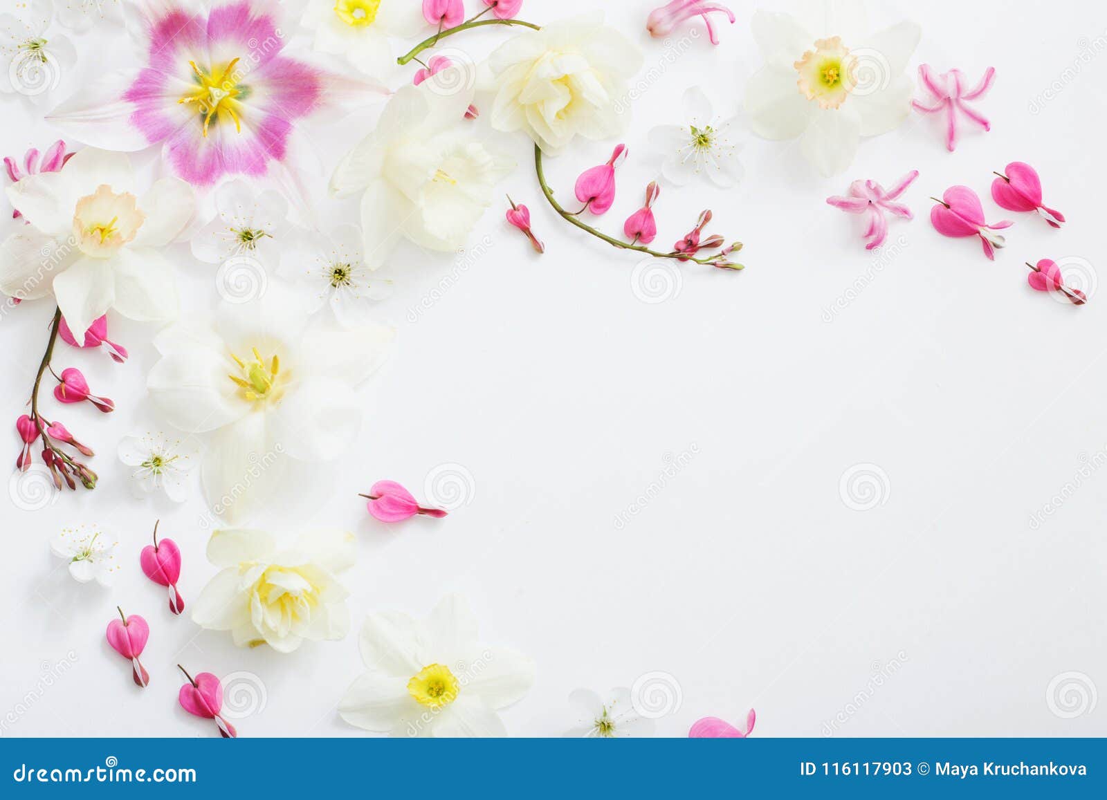 Spring Flowers on White Background Stock Image - Image of flowers ...