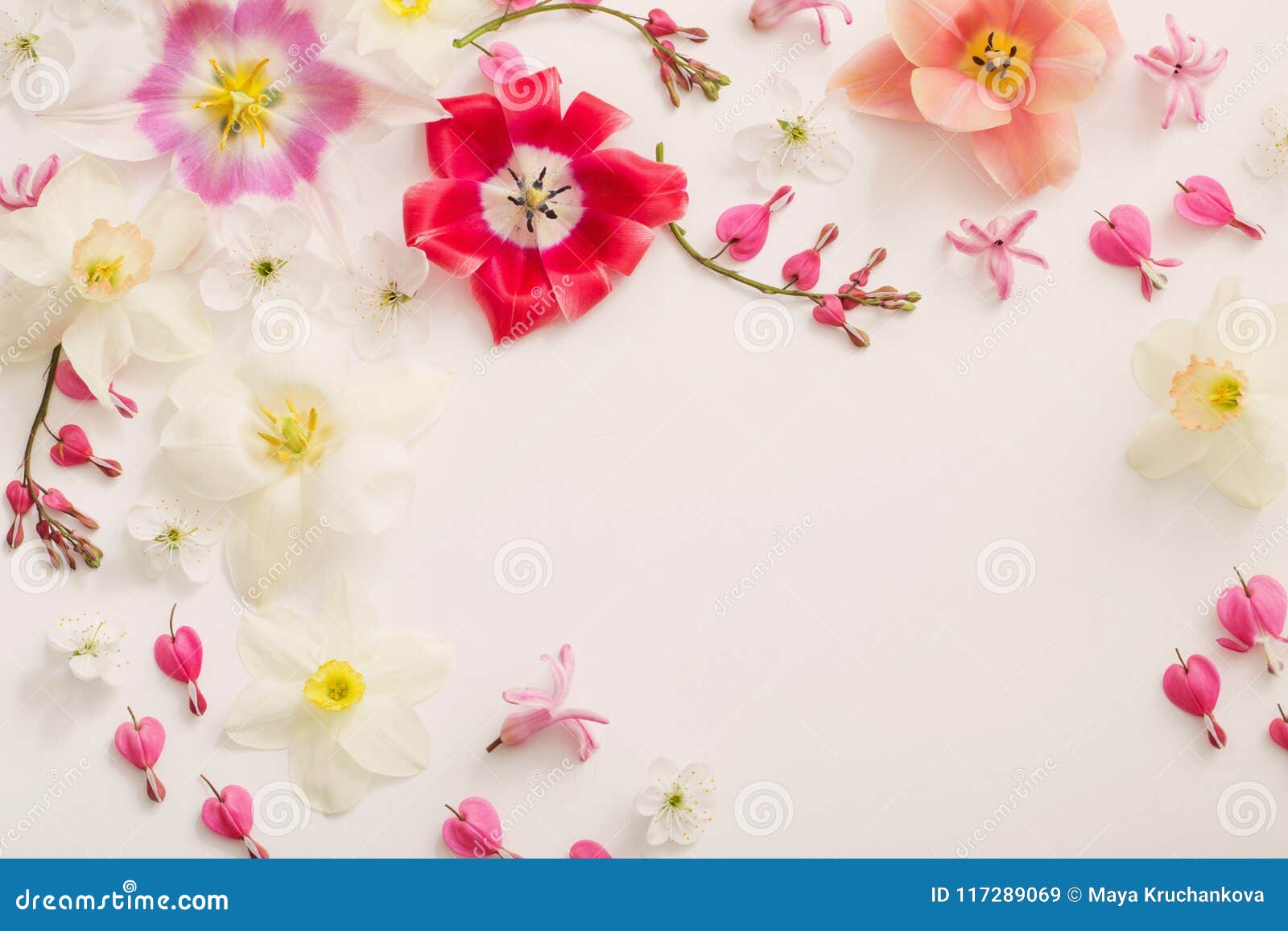 Spring Flowers on White Background Stock Image - Image of elegant ...