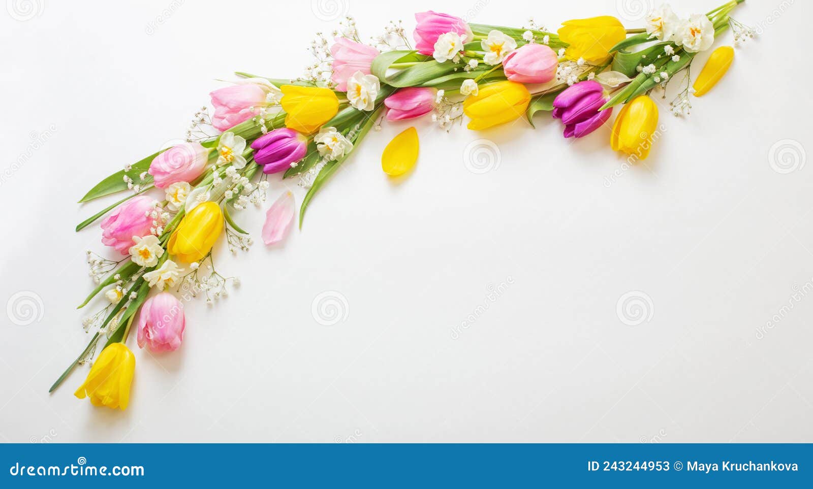 Spring Flowers on White Background Stock Image - Image of flat, copy ...