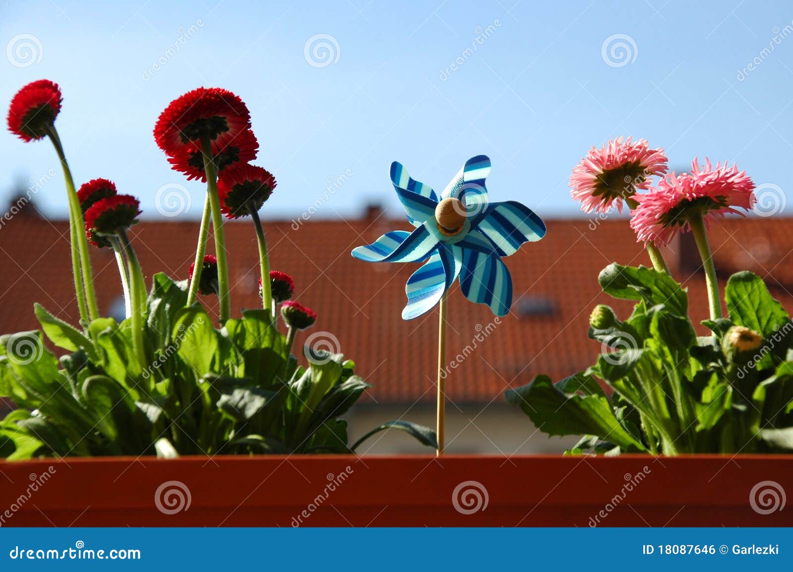 Spring Flowers and Windmill Stock Photo - Image of blue, outdoors: 18087646