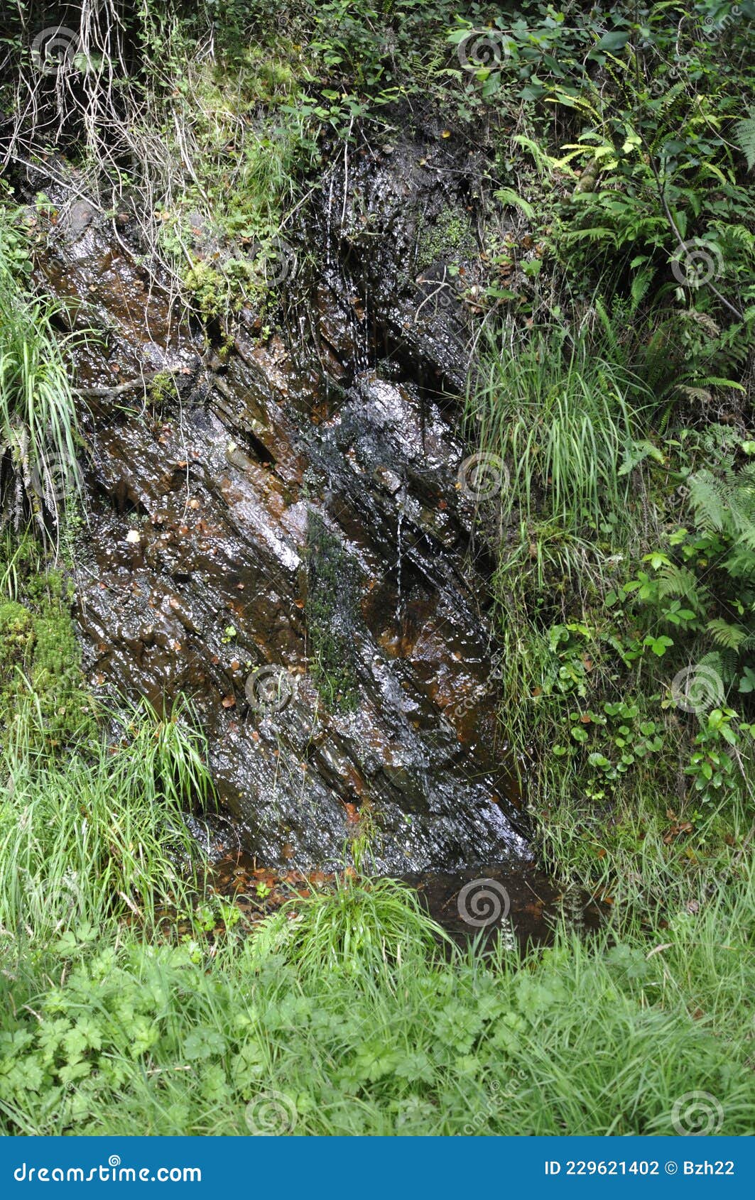 Spring Flowing Along a Rock Stock Photo - Image of freshness, granite ...