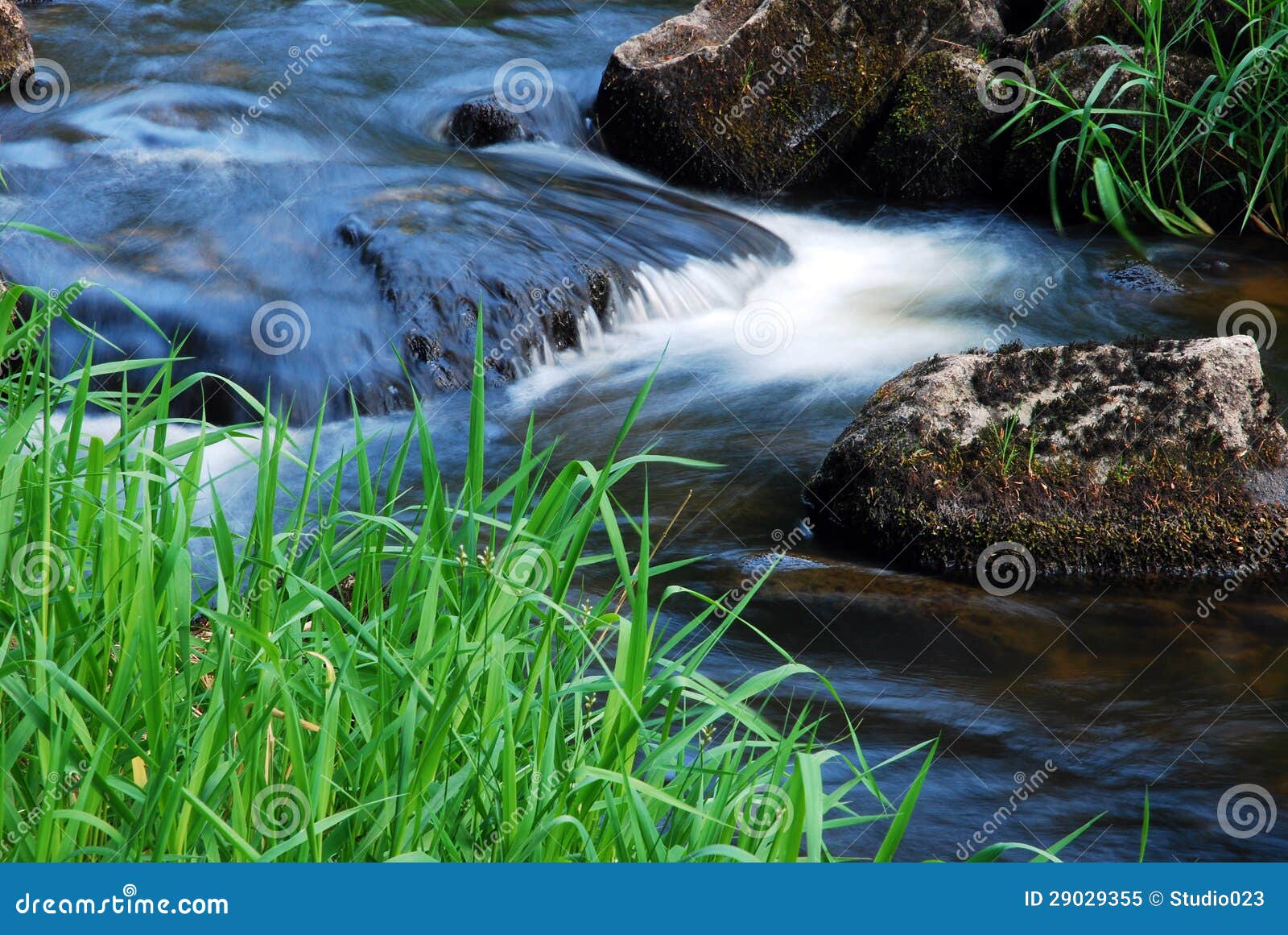 Spring flowing stream stock image. Image of nature, natural - 29029355