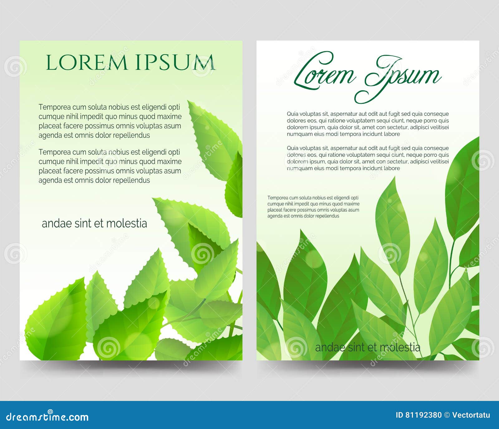 Spring Flyers Template with Green Leaves Stock Vector - Illustration of ...