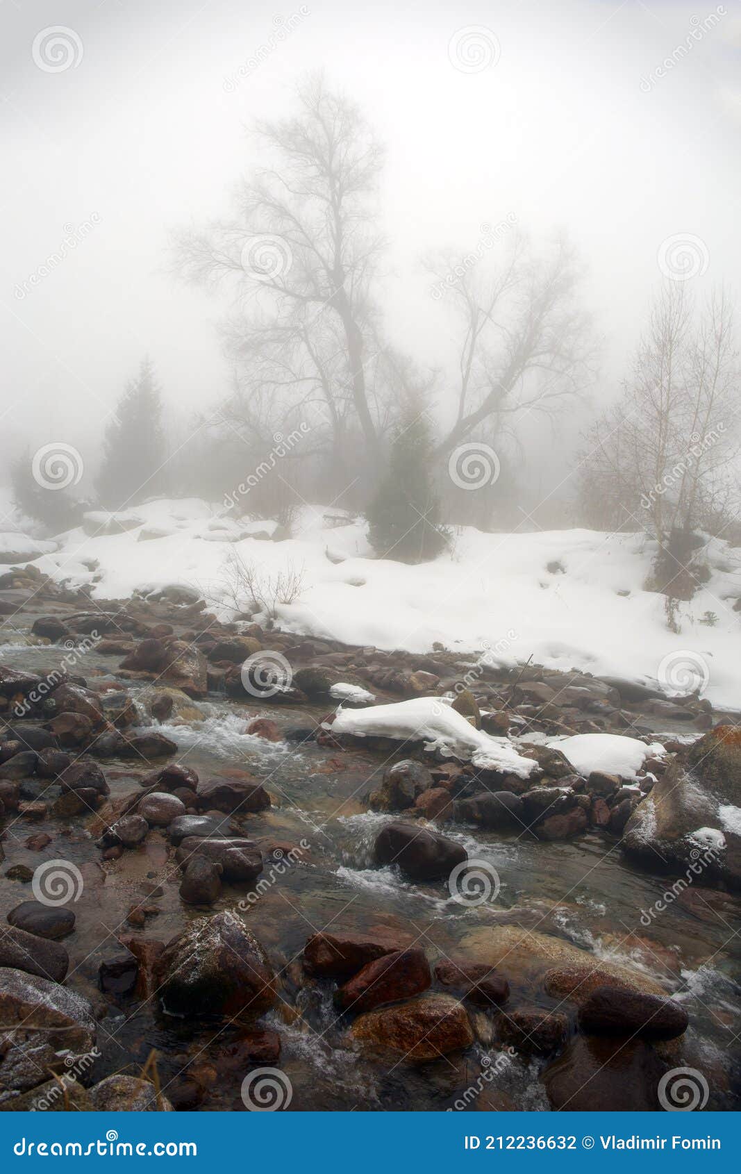 Spring fog. stock photo. Image of white, light, cirrus - 212236632