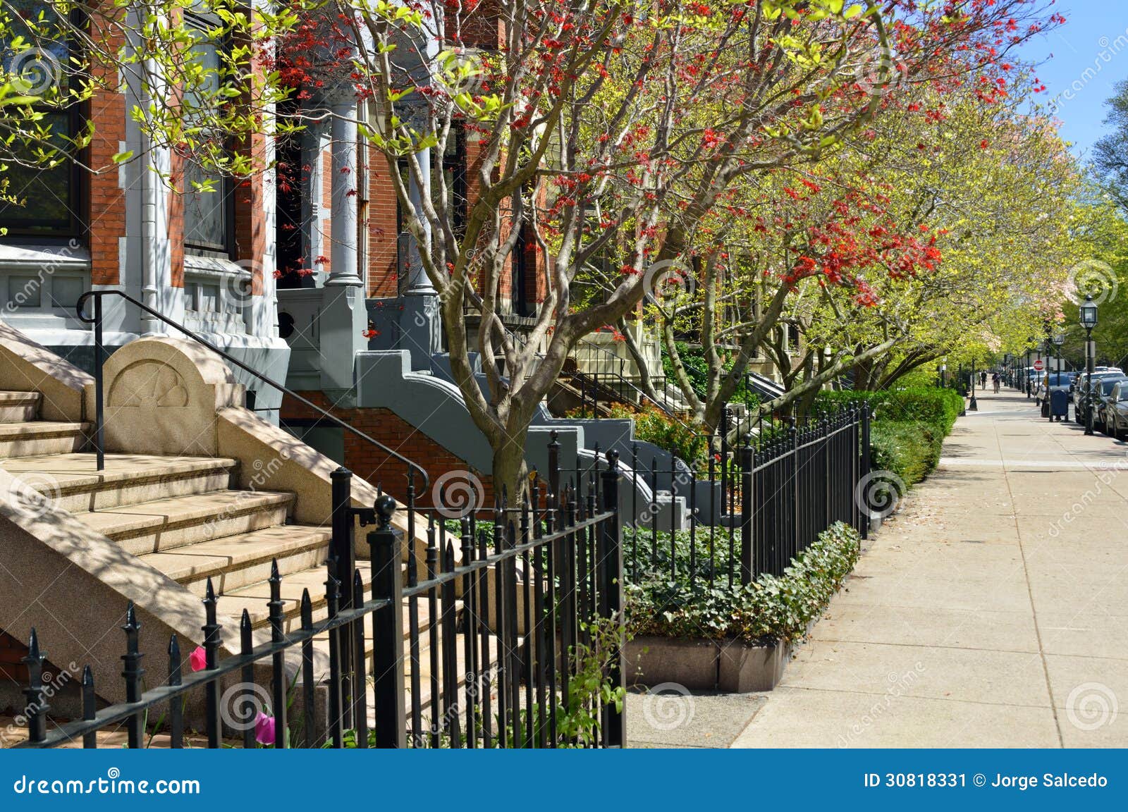 Spring Foliage in Boston Back Bay Stock Image - Image of fence, flowers ...
