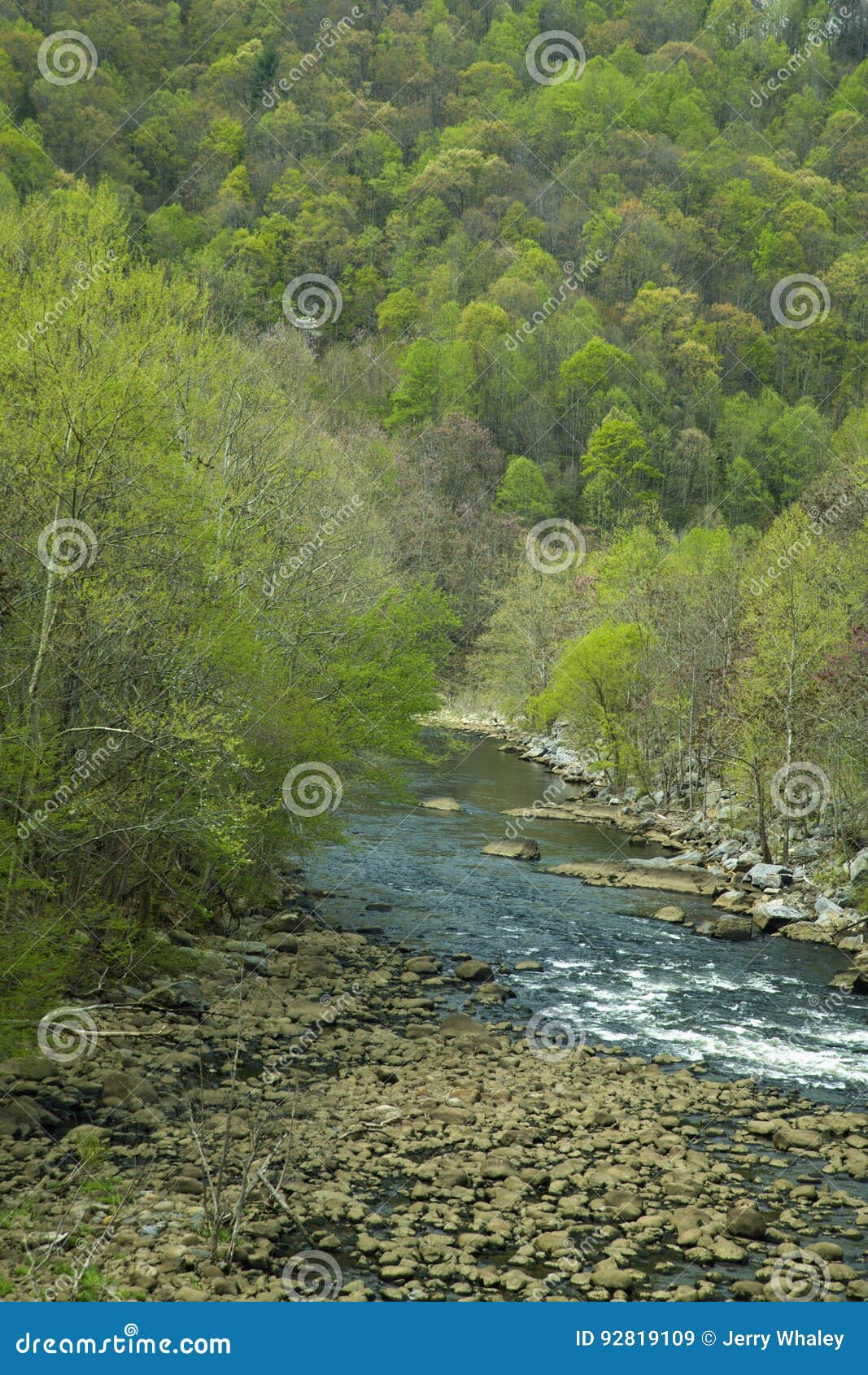 Spring Foliage, Pigeon River, East Tennessee Stock Image - Image of ...