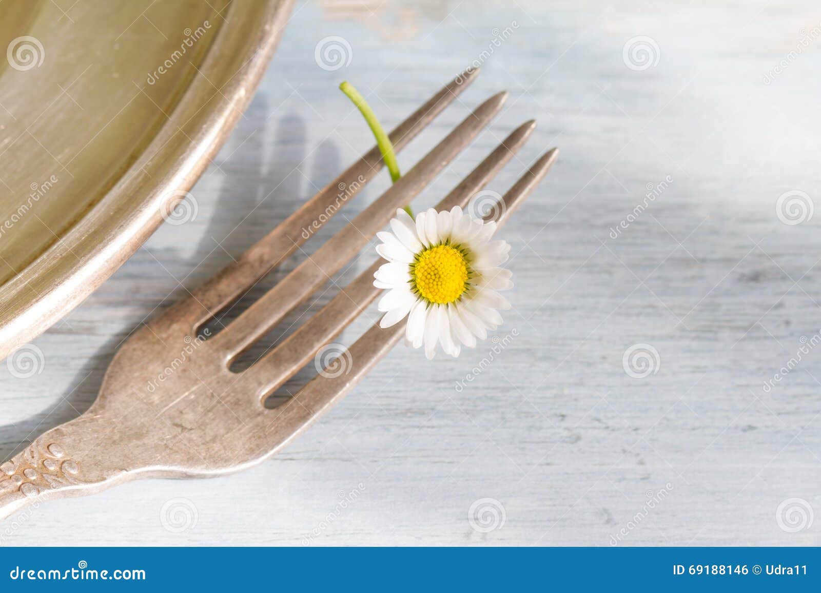 Spring Food Abstract Background with Daisy on the Fork Stock Photo ...