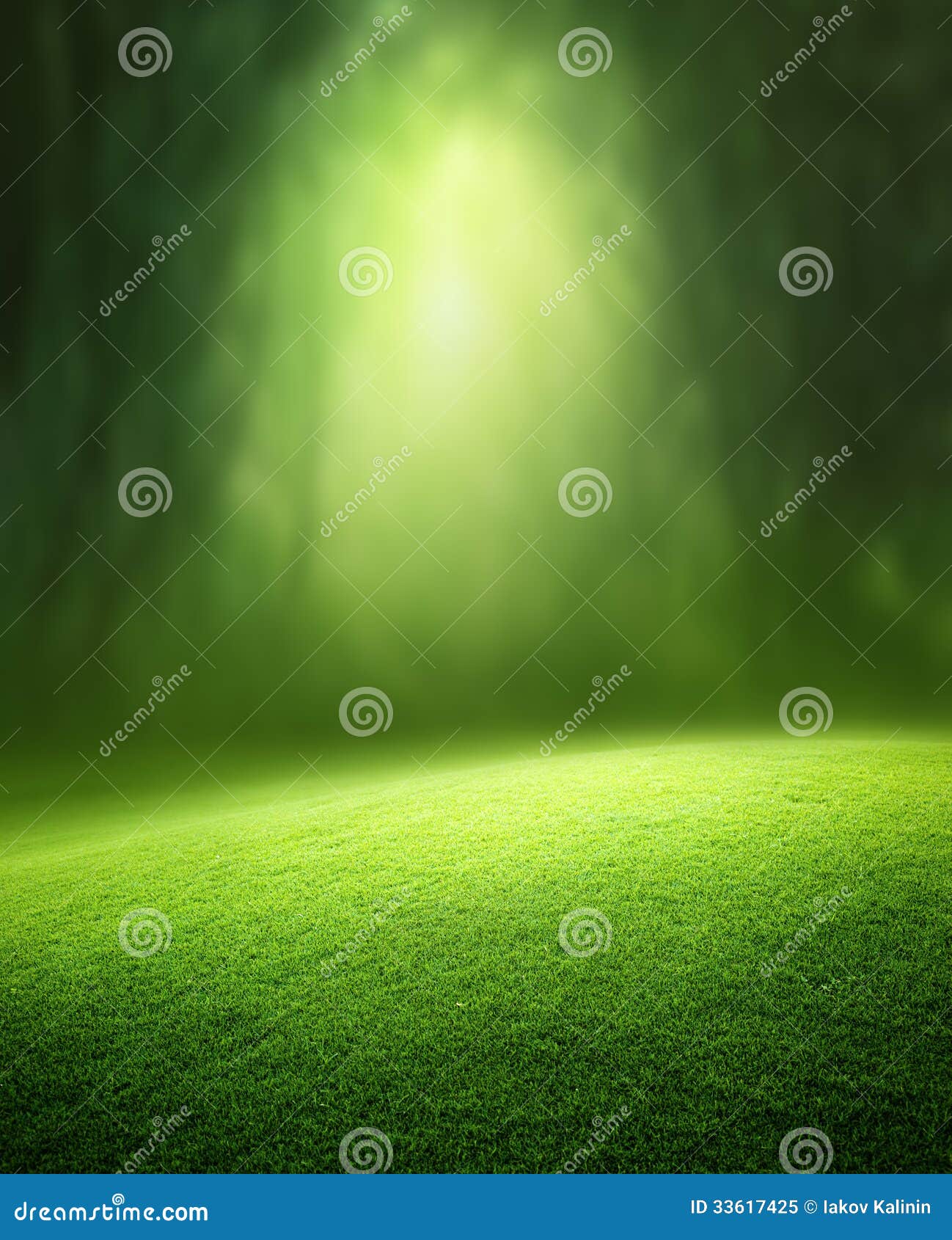 Spring forest background stock image. Image of beam, flora - 33617425