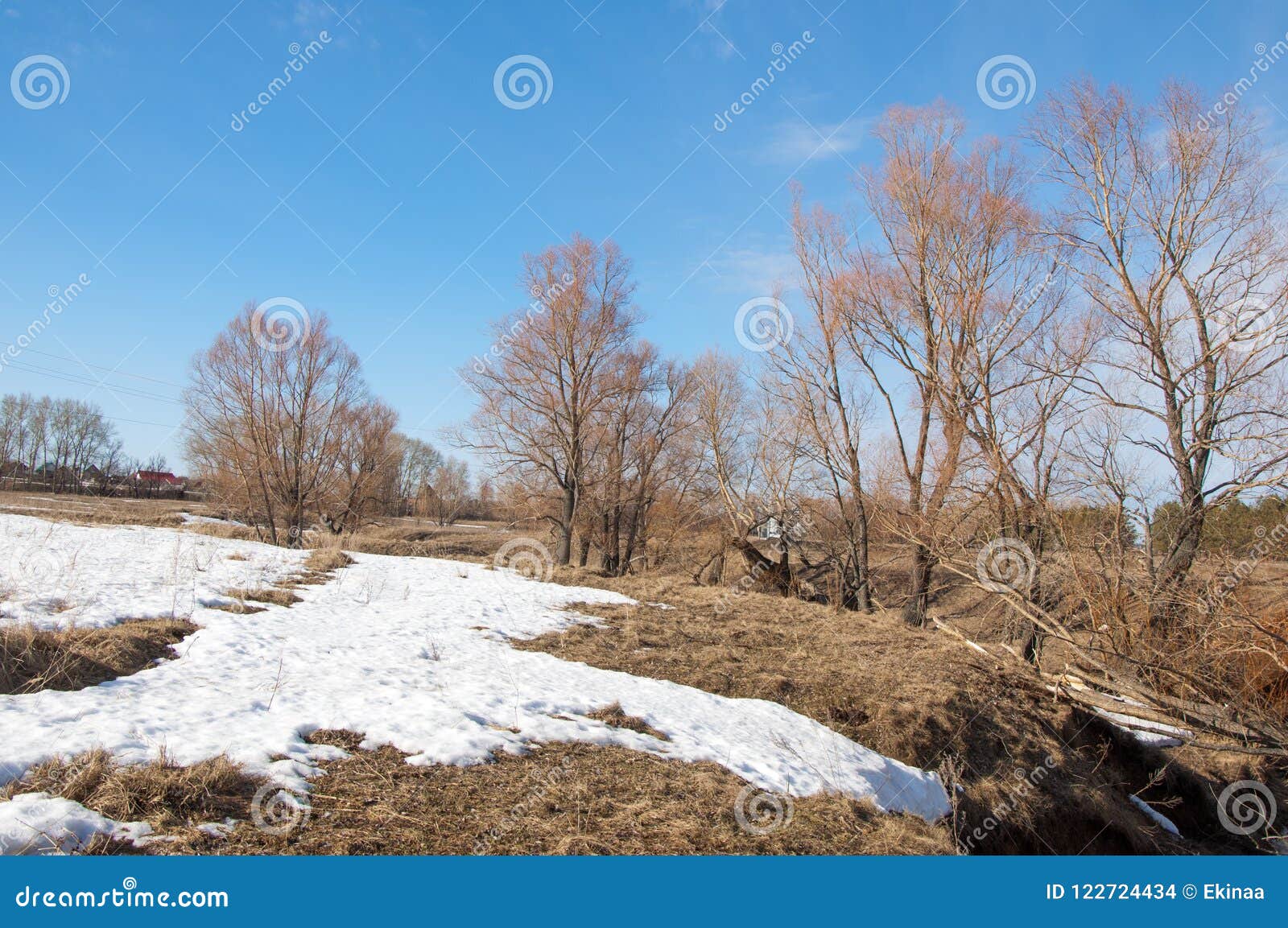 Spring in the Forest, the Grass Withered, the Last Snow, Warm Sp Stock ...