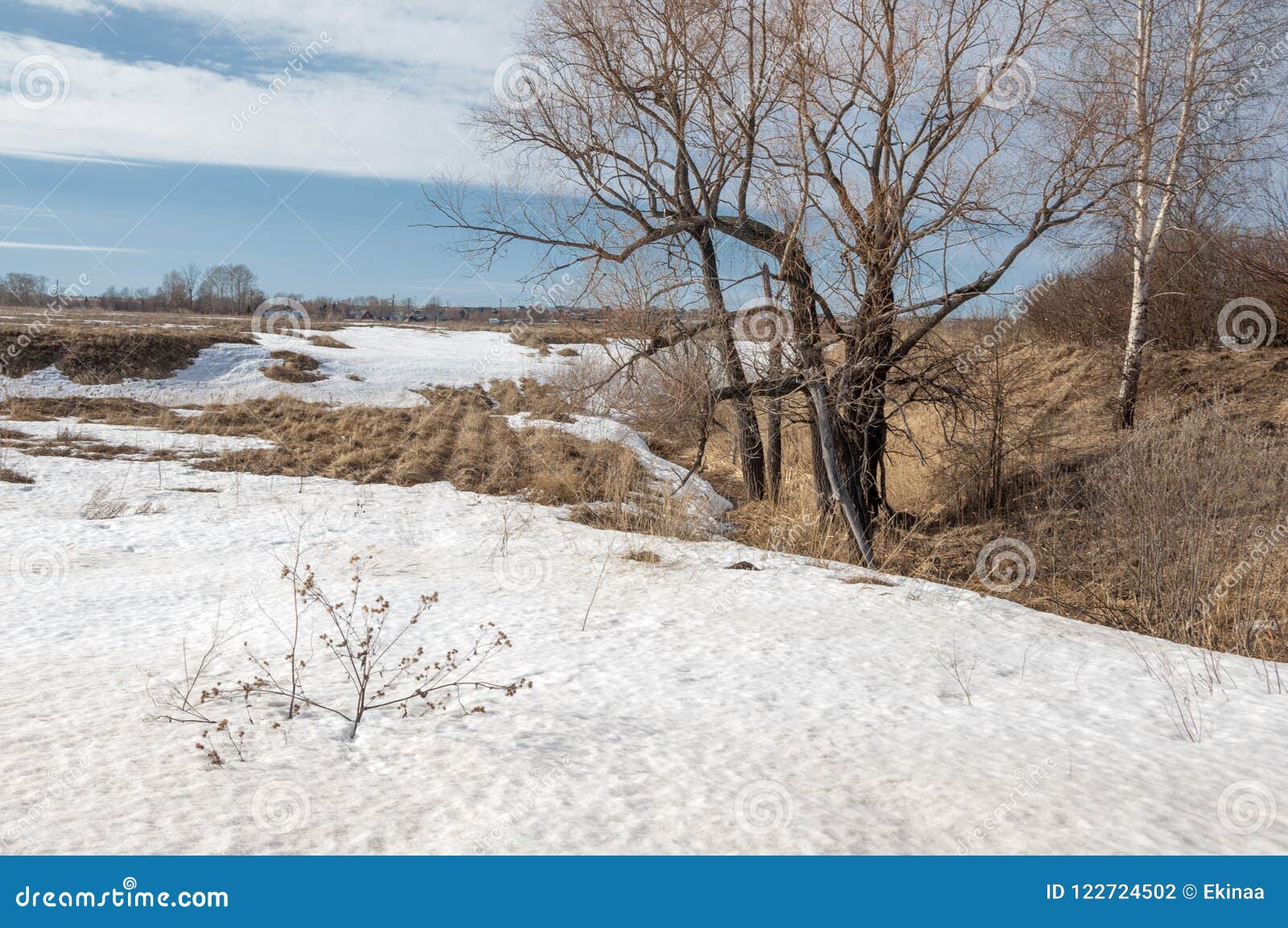 Spring in the Forest, the Grass Withered, the Last Snow, Warm Sp Stock ...