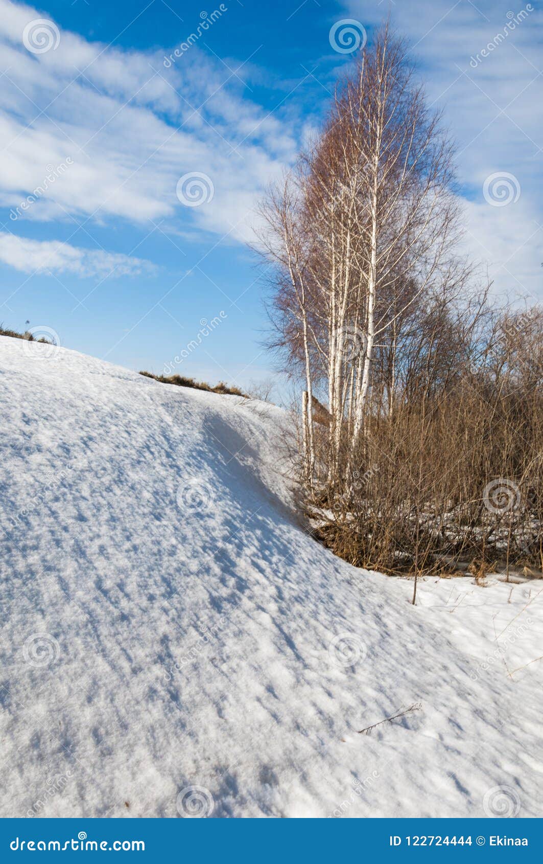 Spring in the Forest, the Grass Withered, the Last Snow, Warm Sp Stock ...