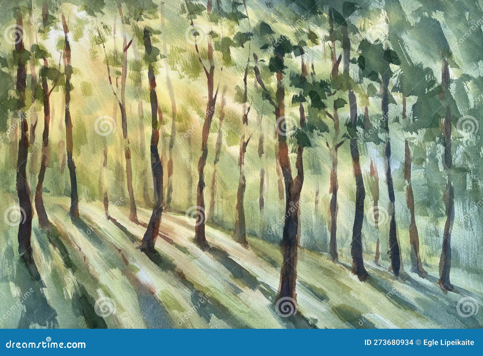 Spring Forest Landscape with Sun Light and Shadows Watercolor Bakground ...