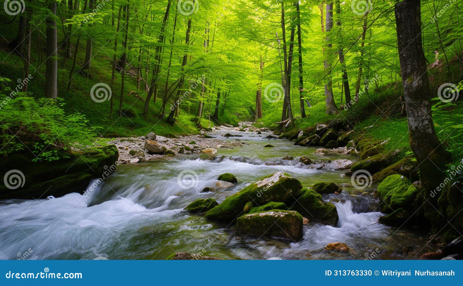 Spring Forest Nature Landscape, Beautiful Spring Stream, River Rocks in ...