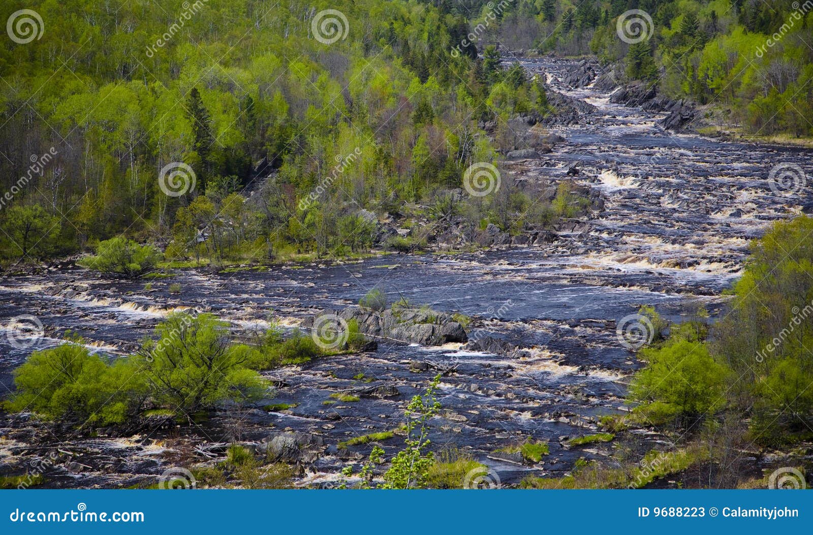 Spring Forest and Raging River Stock Image - Image of raging, birch ...