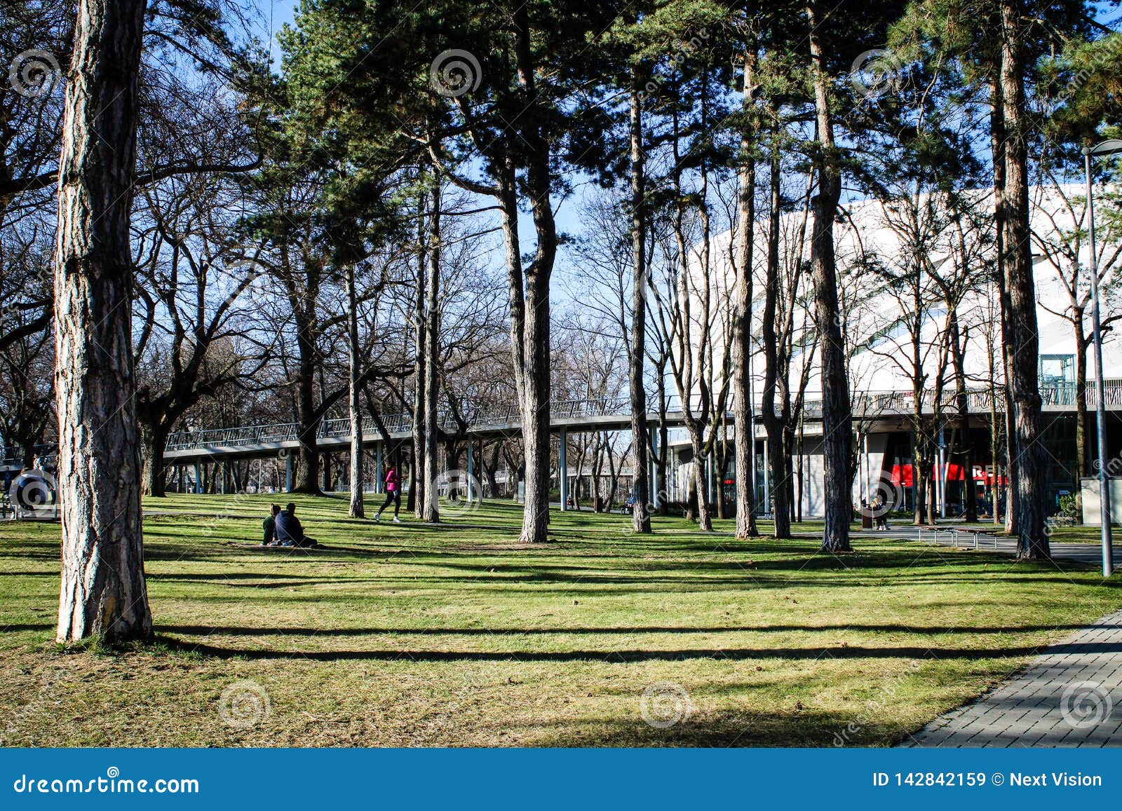 Spring in the Forest with Relax Time Stock Image - Image of nature ...