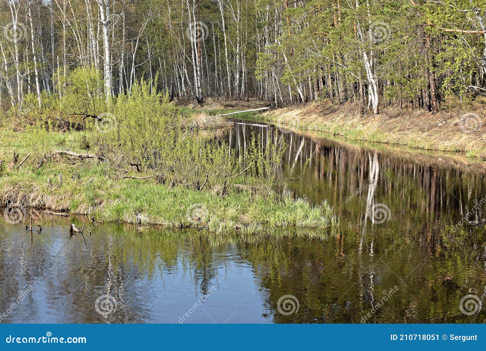 Spring on the forest river stock image. Image of outdoor - 210718051
