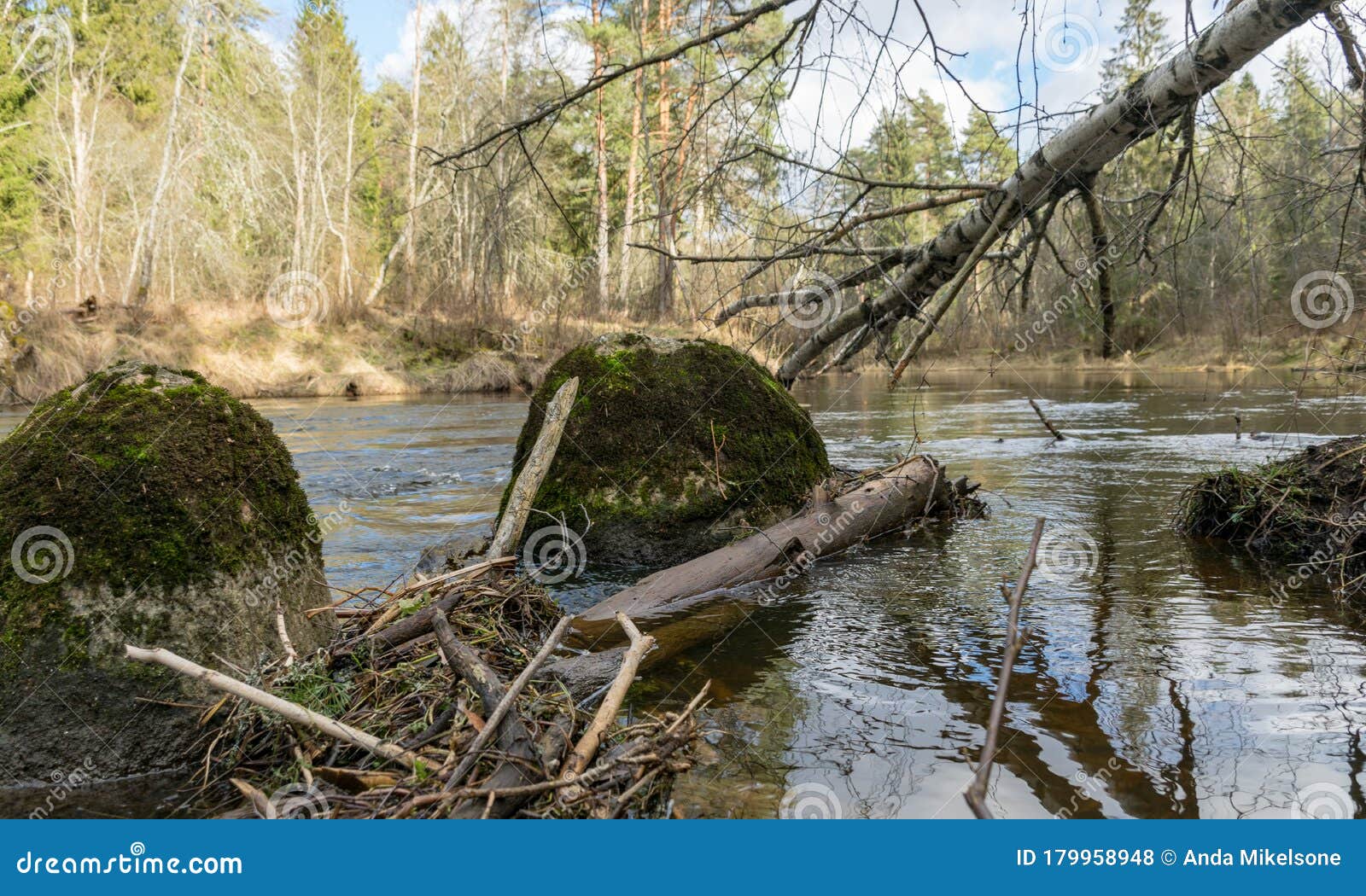 Spring Forest River Rocks View Stock Photo - Image of environment, fall ...